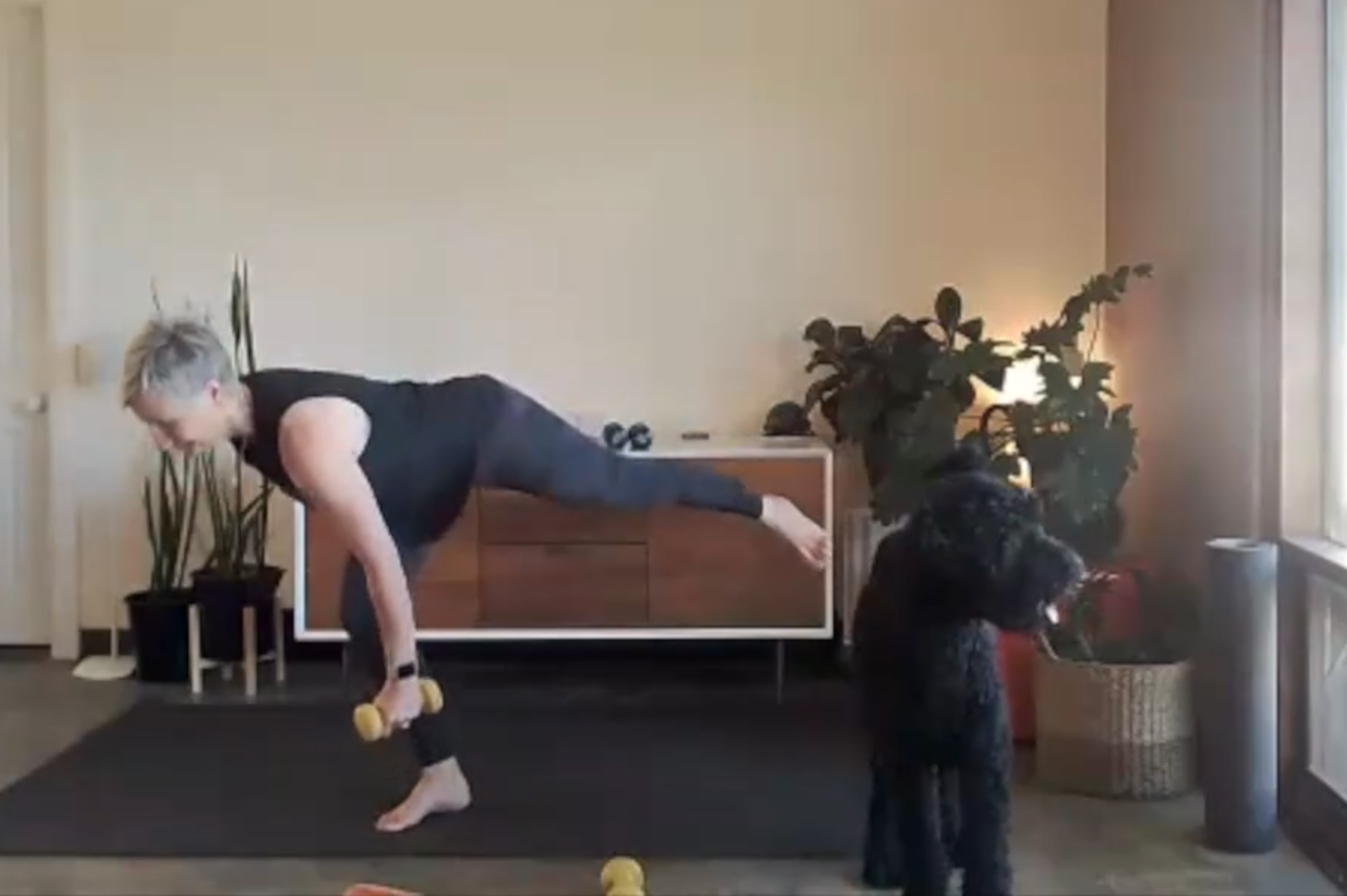 Strength Series: Balanced Foundations & Floor Flows — Roaming Zen ...