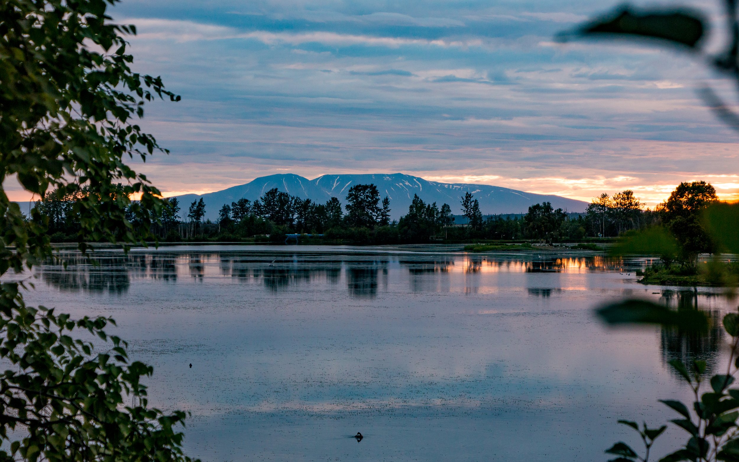 Matthew Rhoades Photography