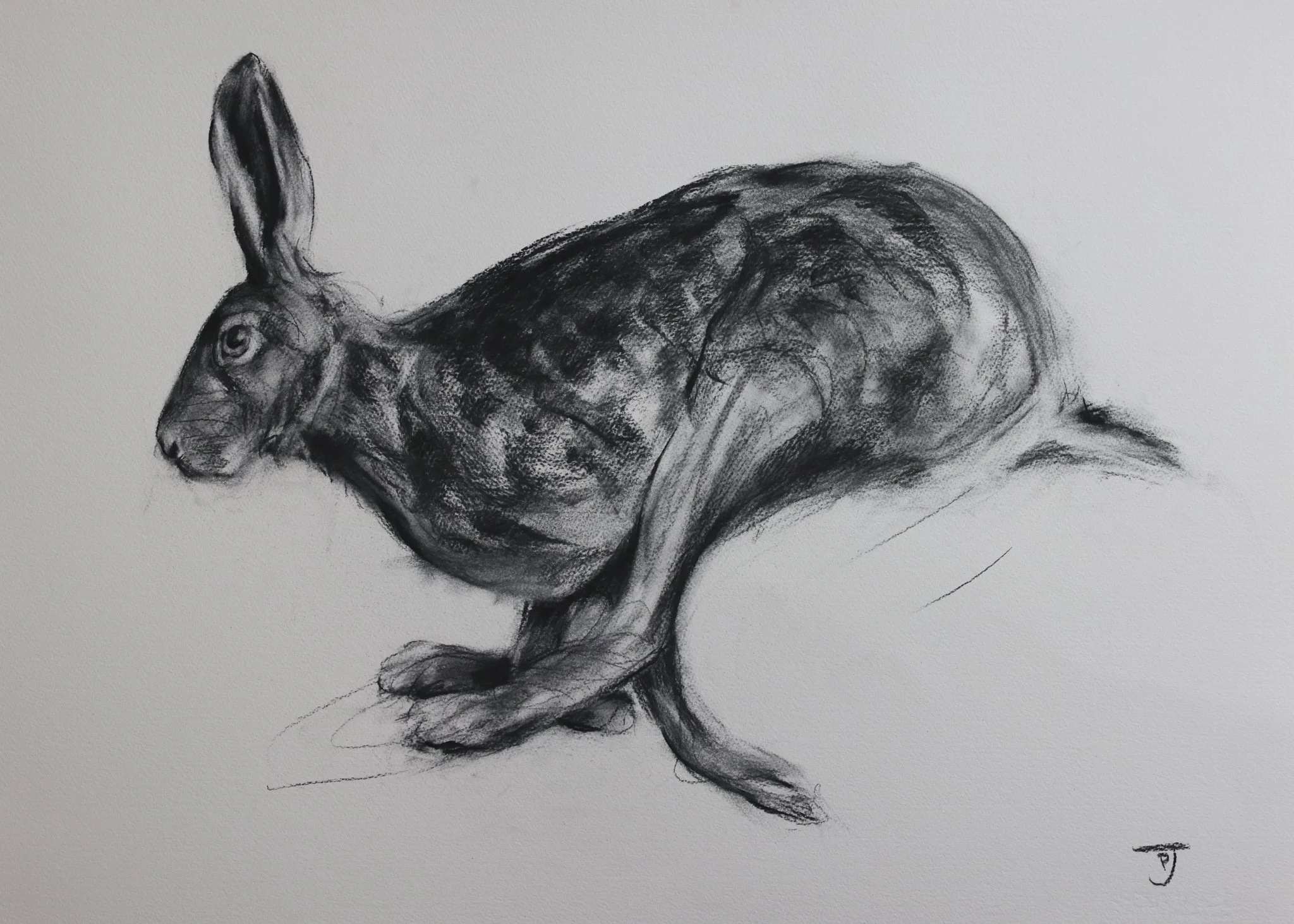 Exhibitions — Polly James