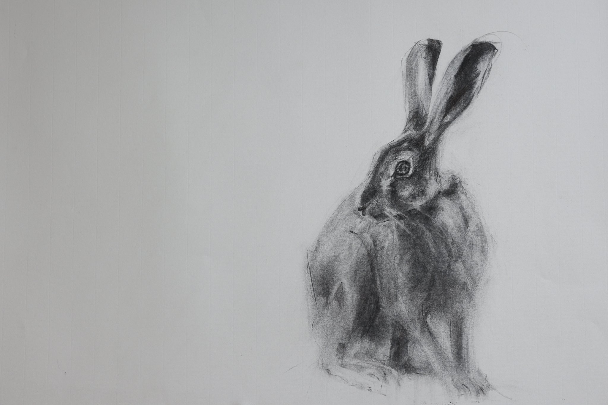 Latest Work — Polly James