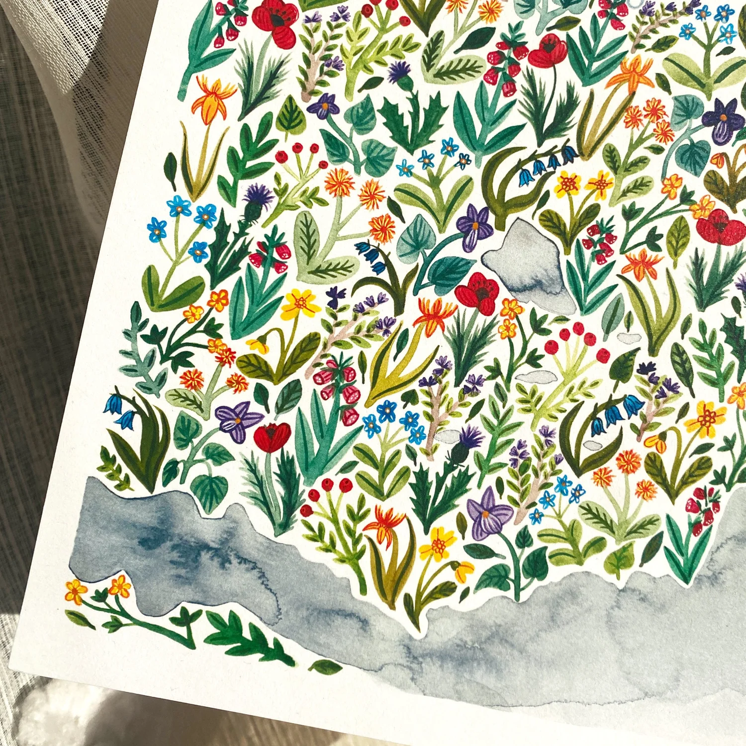 Wildflower Scotland Map Art Print — Samantha Dolan - Art & Illustration