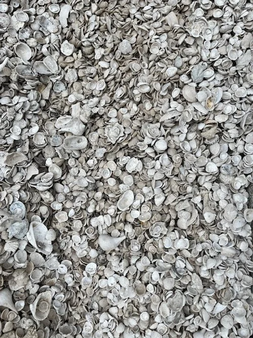 Landscaping Rock — Seffner Rock & Gravel - Landscape Supplies in Tampa ...
