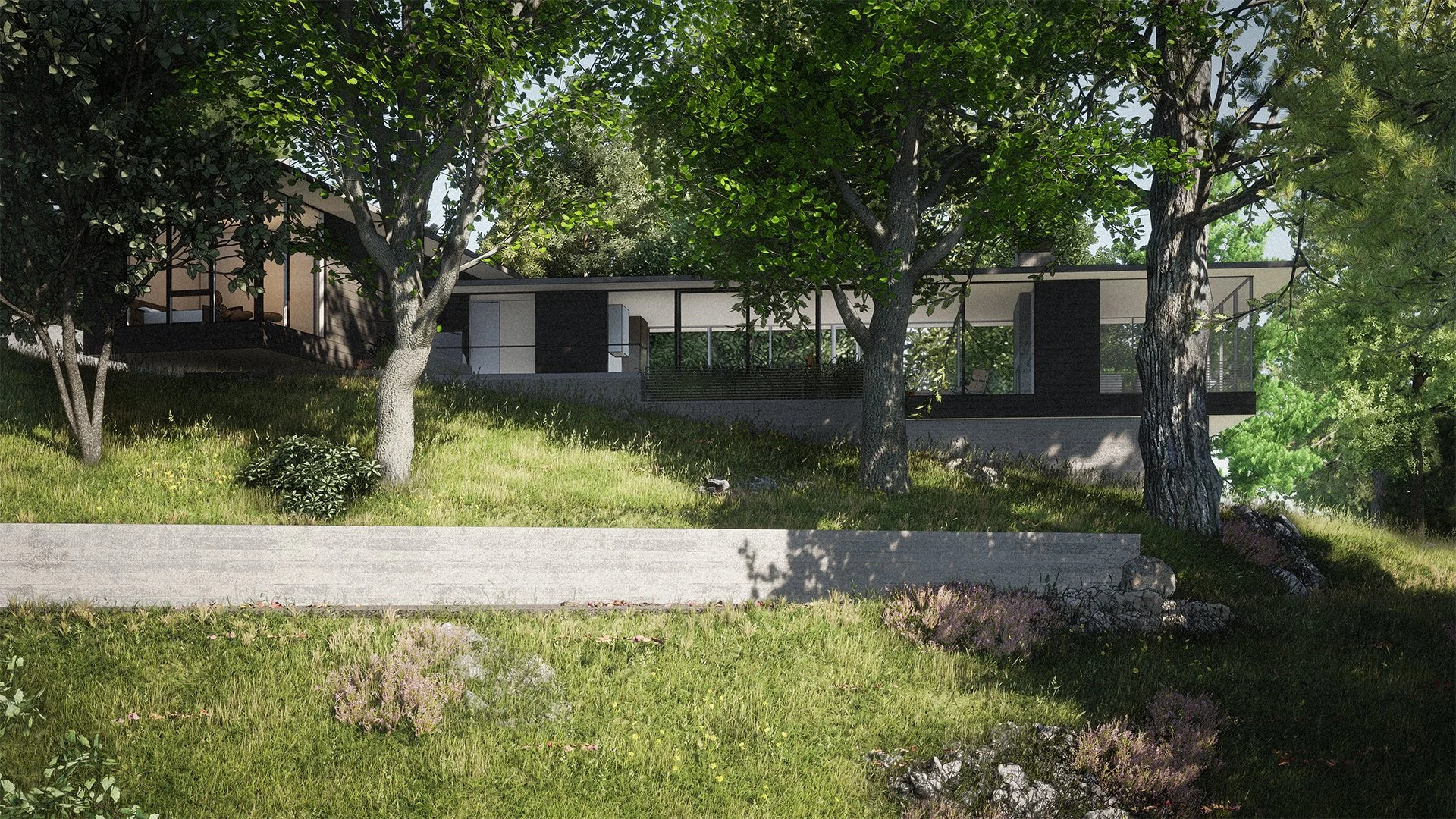 Starling | Modern Home Design — Harding Huebner Architects — Harding ...