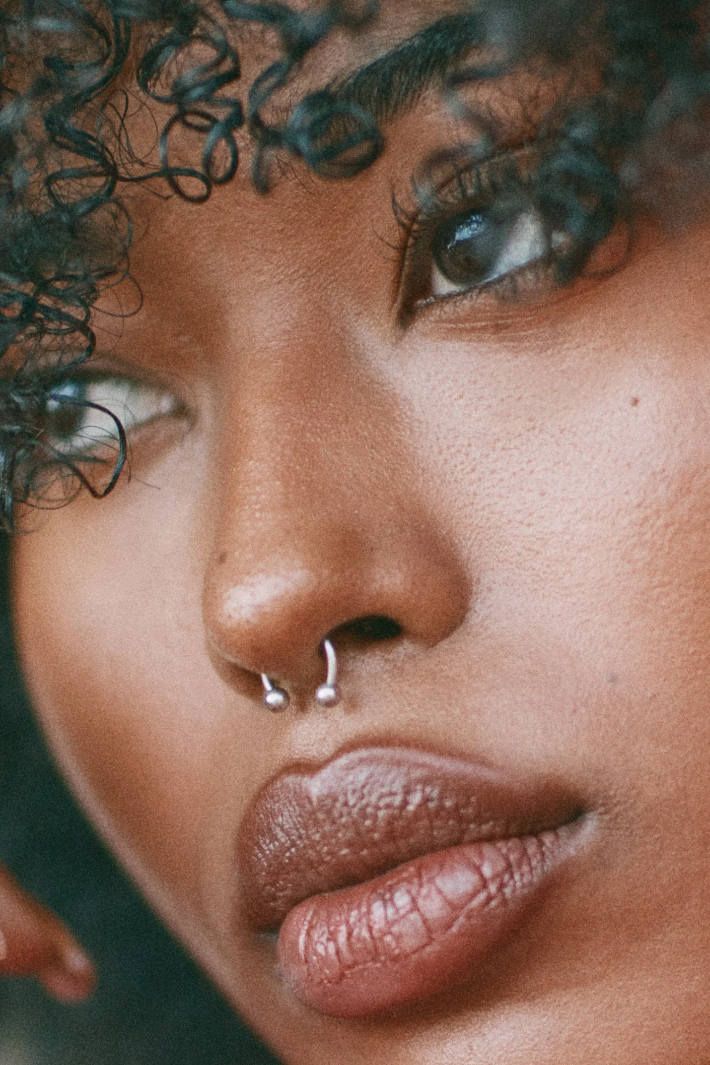 TADILA — IL MODELS