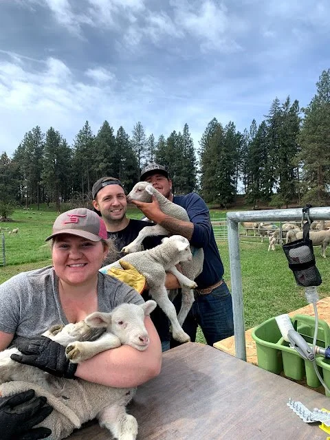 Winchester Ridge Farm | Pastured Lamb | Rotationally Grazed | USDA ...