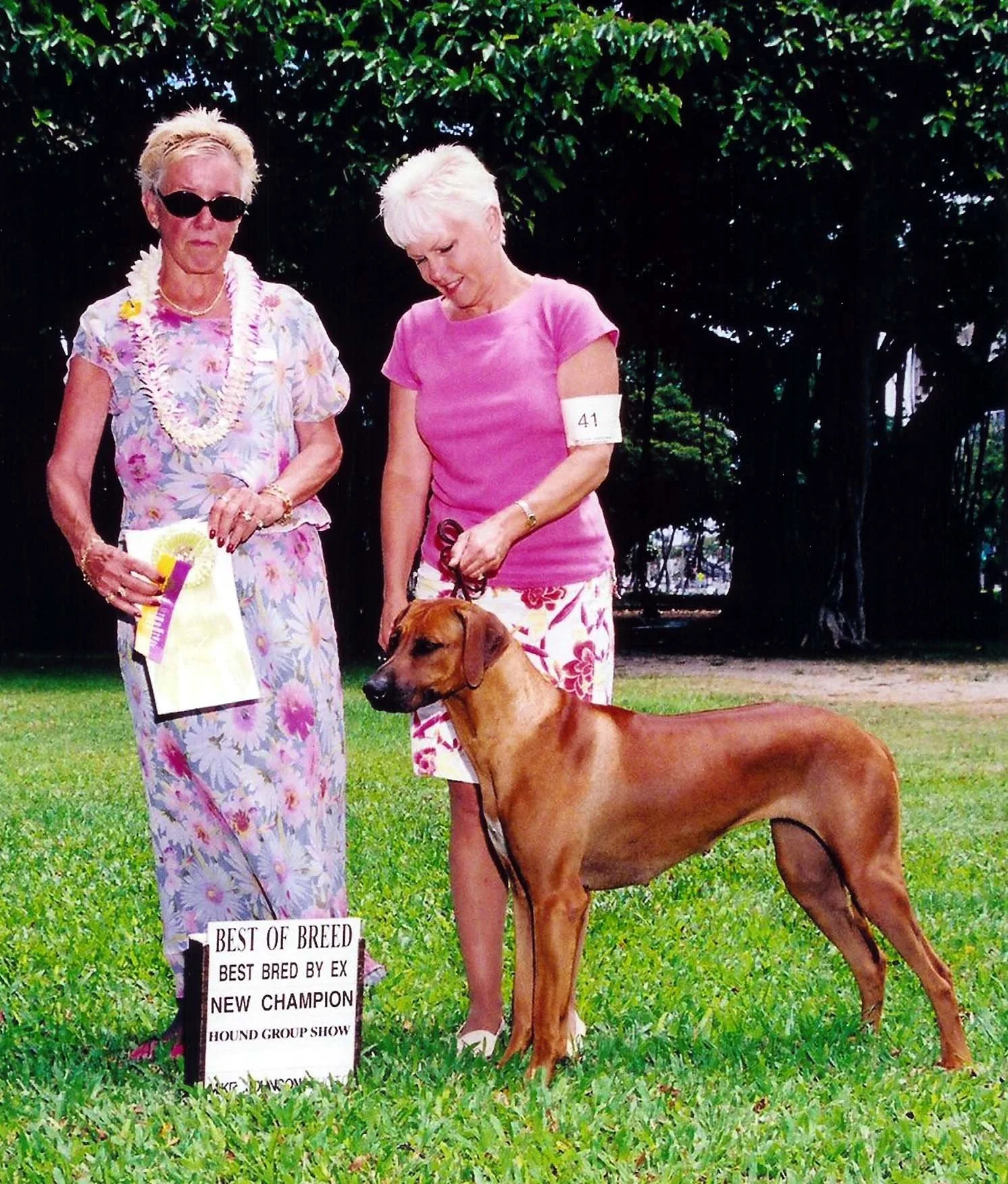 Our Dogs — Pupukearidge Rhodesian Ridgebacks