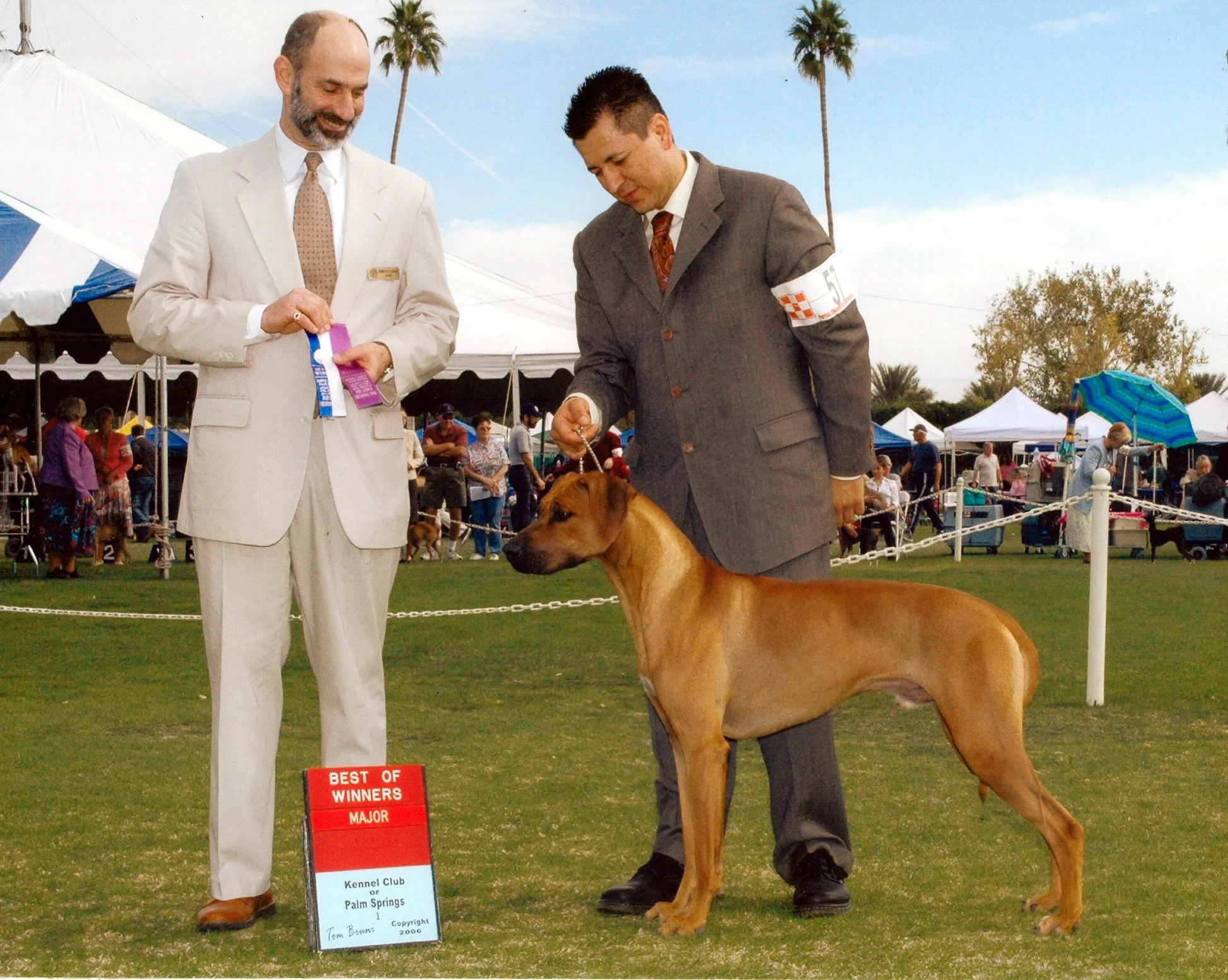Our Dogs — Pupukearidge Rhodesian Ridgebacks