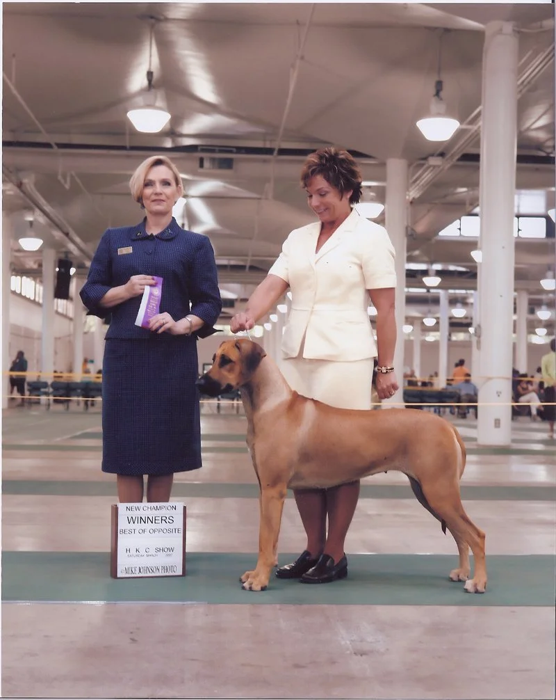 Our Dogs — Pupukearidge Rhodesian Ridgebacks