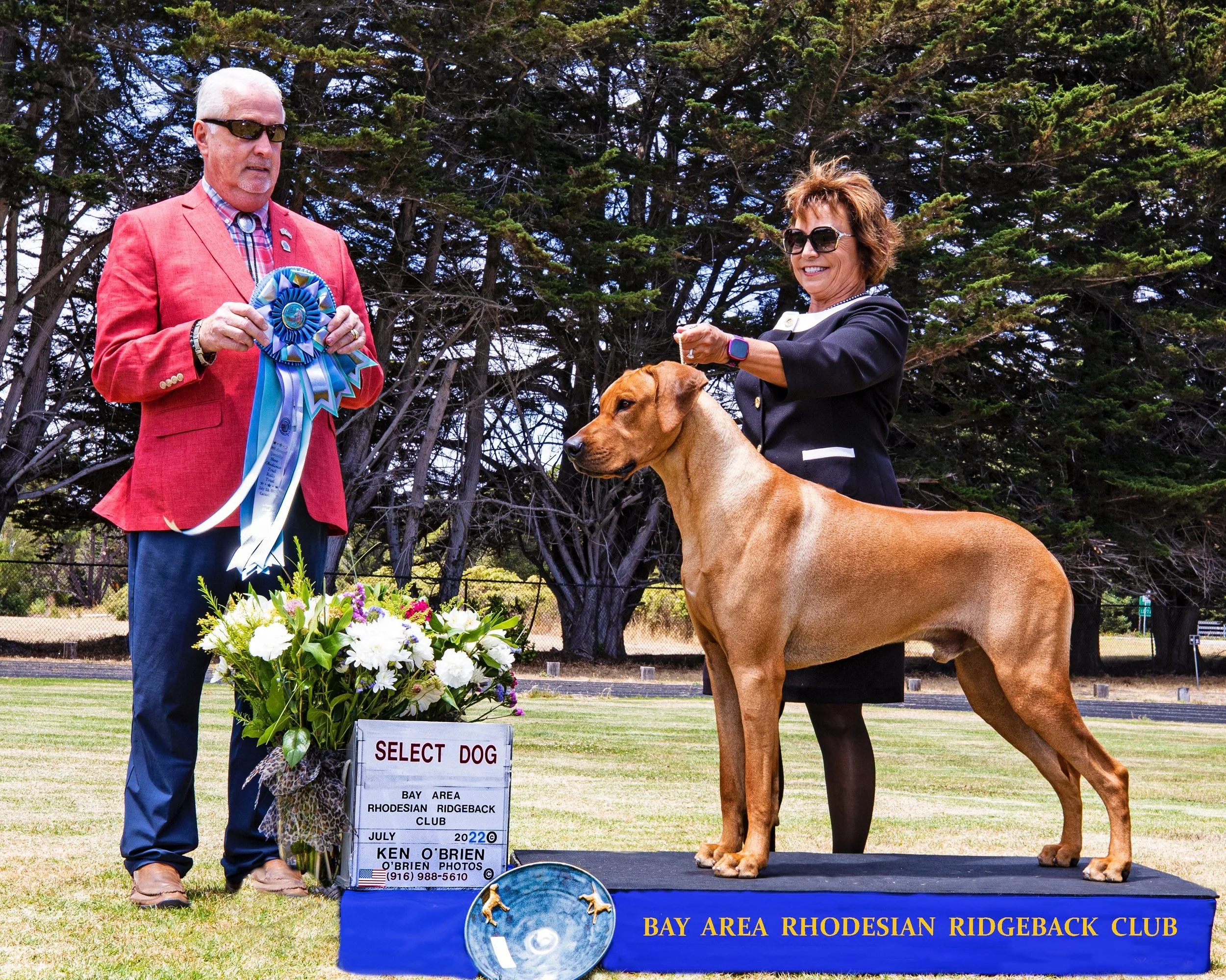Pupukearidge Rhodesian Ridgebacks