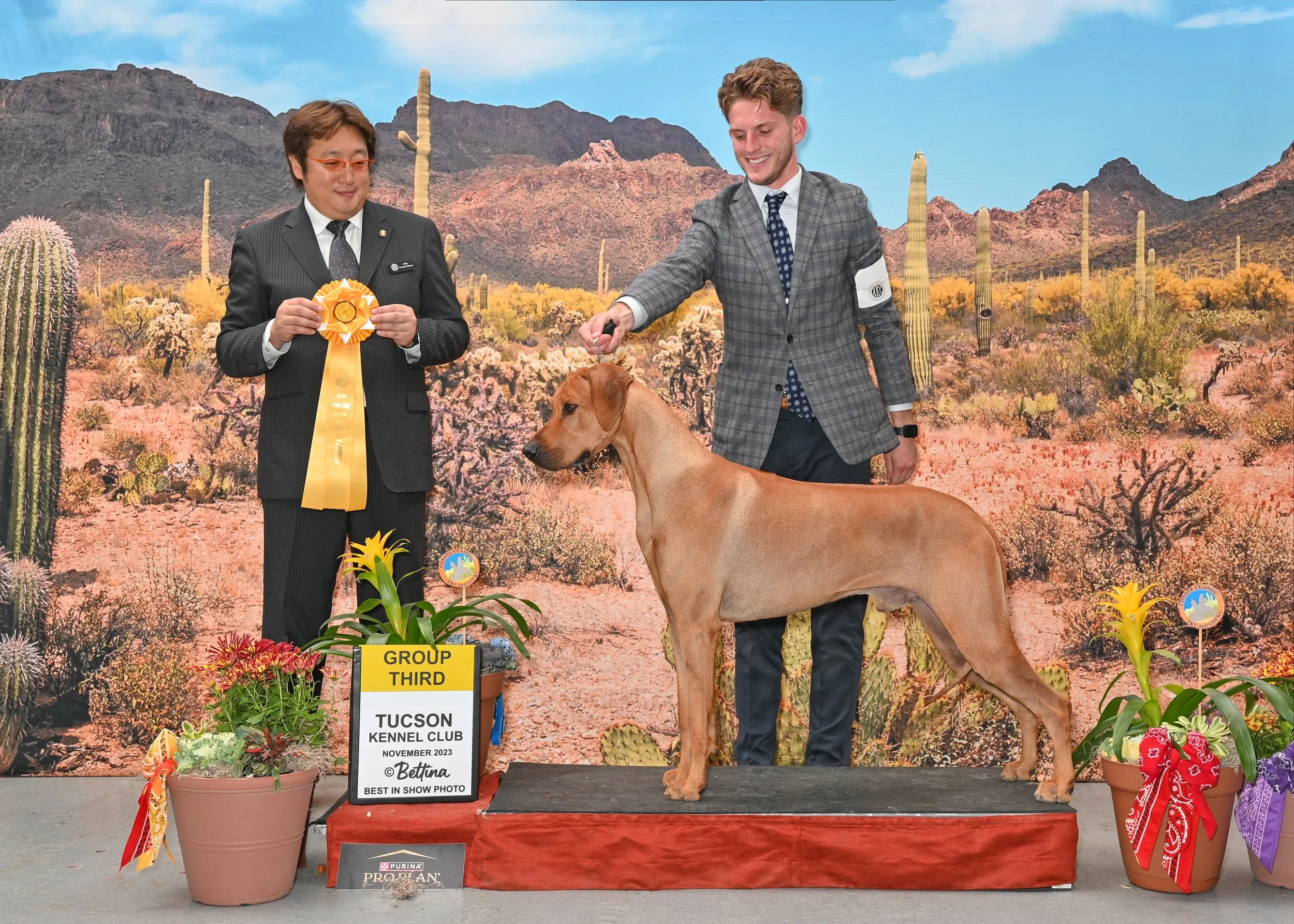 Pupukearidge Rhodesian Ridgebacks