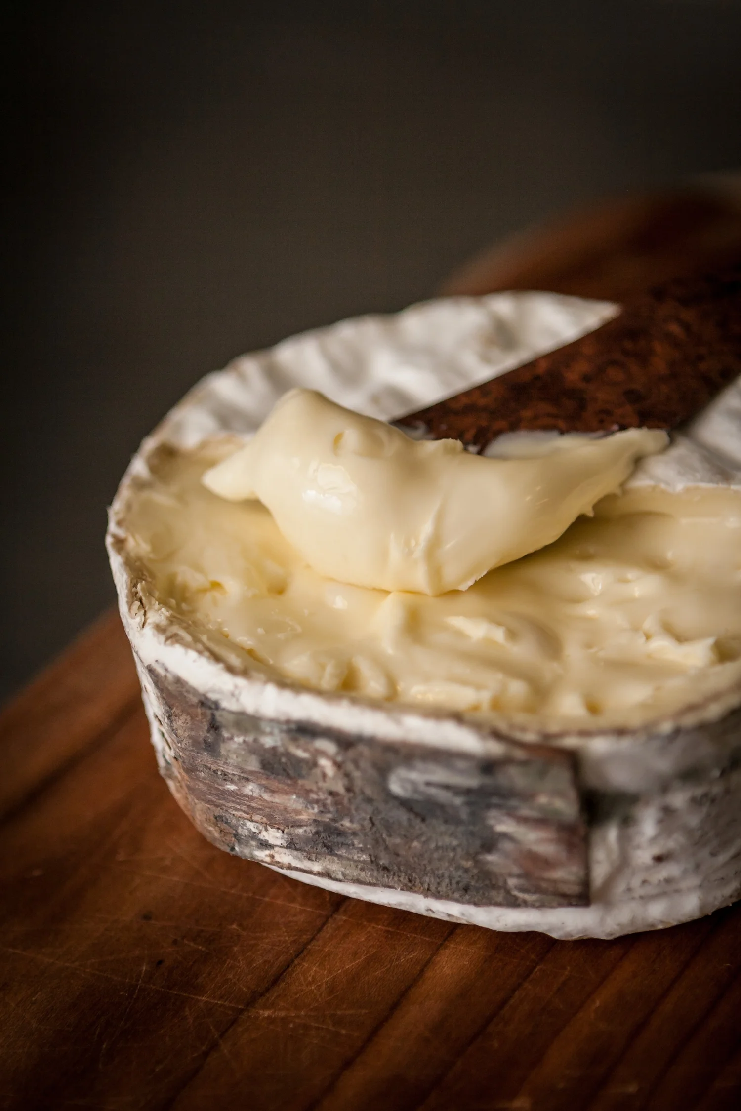 HARBISON — Jasper Hill Farm