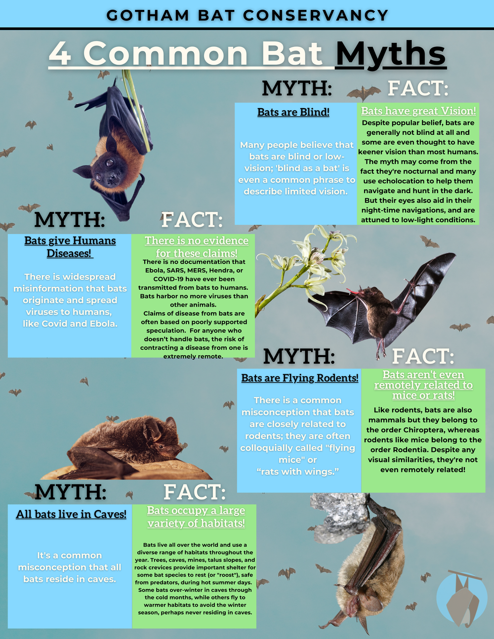 Gotham Bat Conservancy's Resources