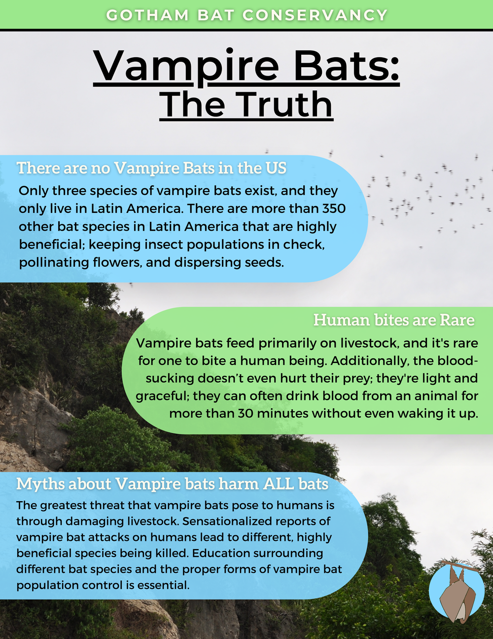 Gotham Bat Conservancy