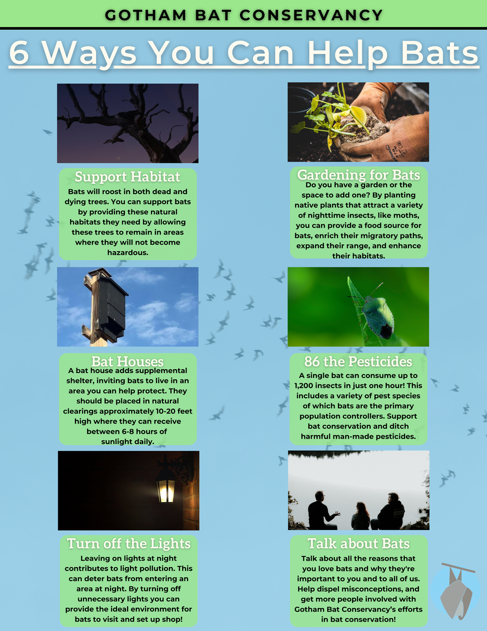 Gotham Bat Conservancy