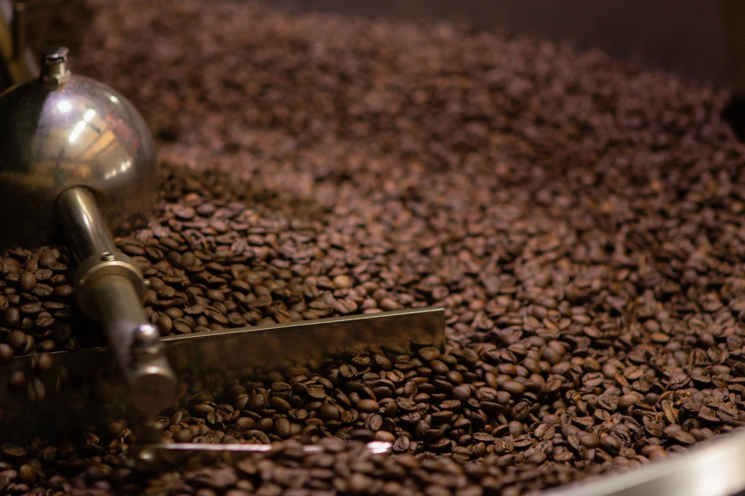 Which Coffee Brew Method is Right for You? — Bonlife Coffee