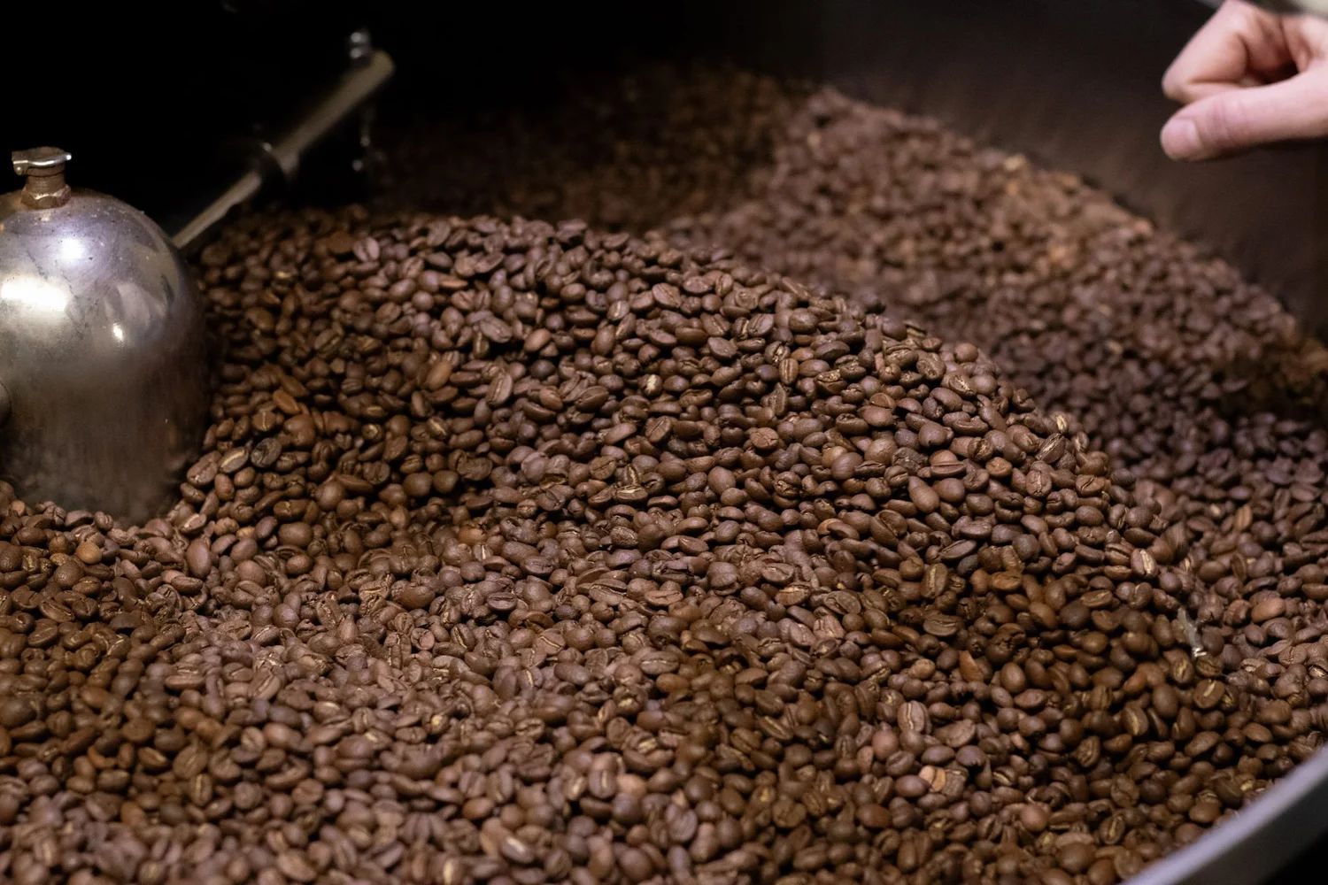 Behind-the-Scenes at an Award-Winning Specialty Coffee Roaster ...