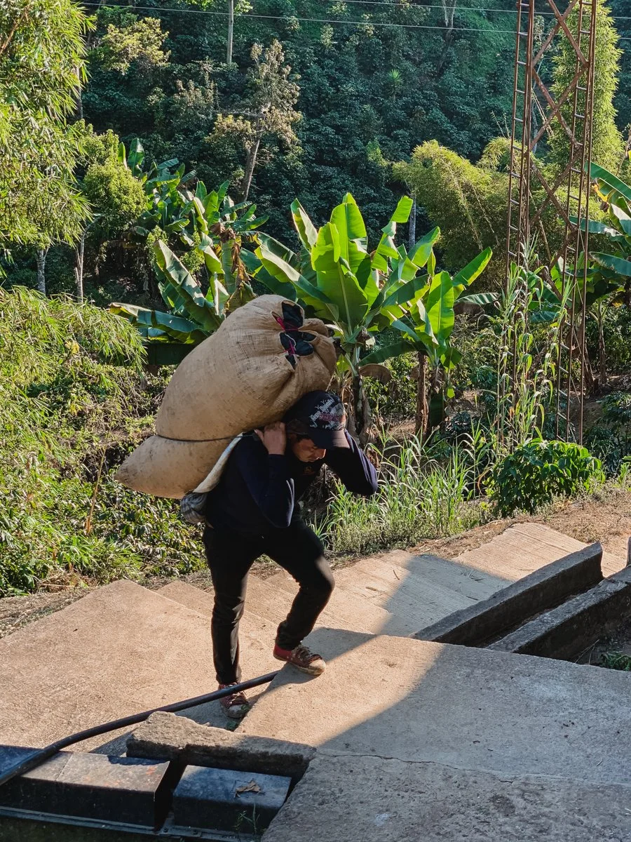 What is Small-Lot Coffee? — Bonlife Coffee