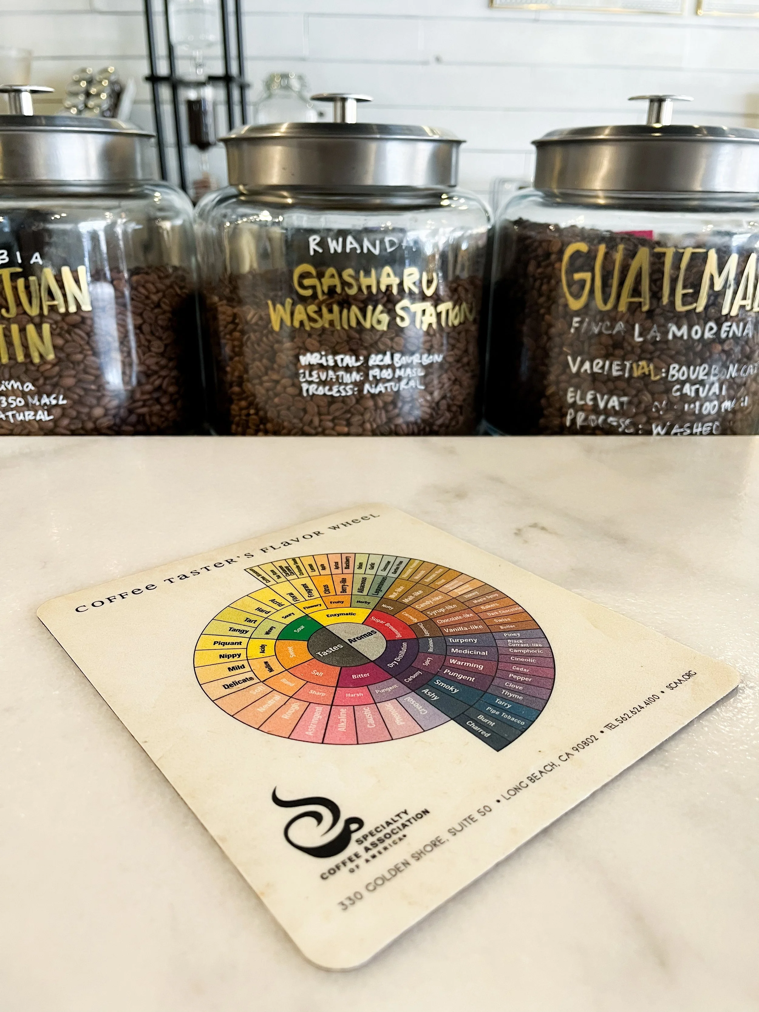 What are Coffee Tasting Notes? — Bonlife Coffee