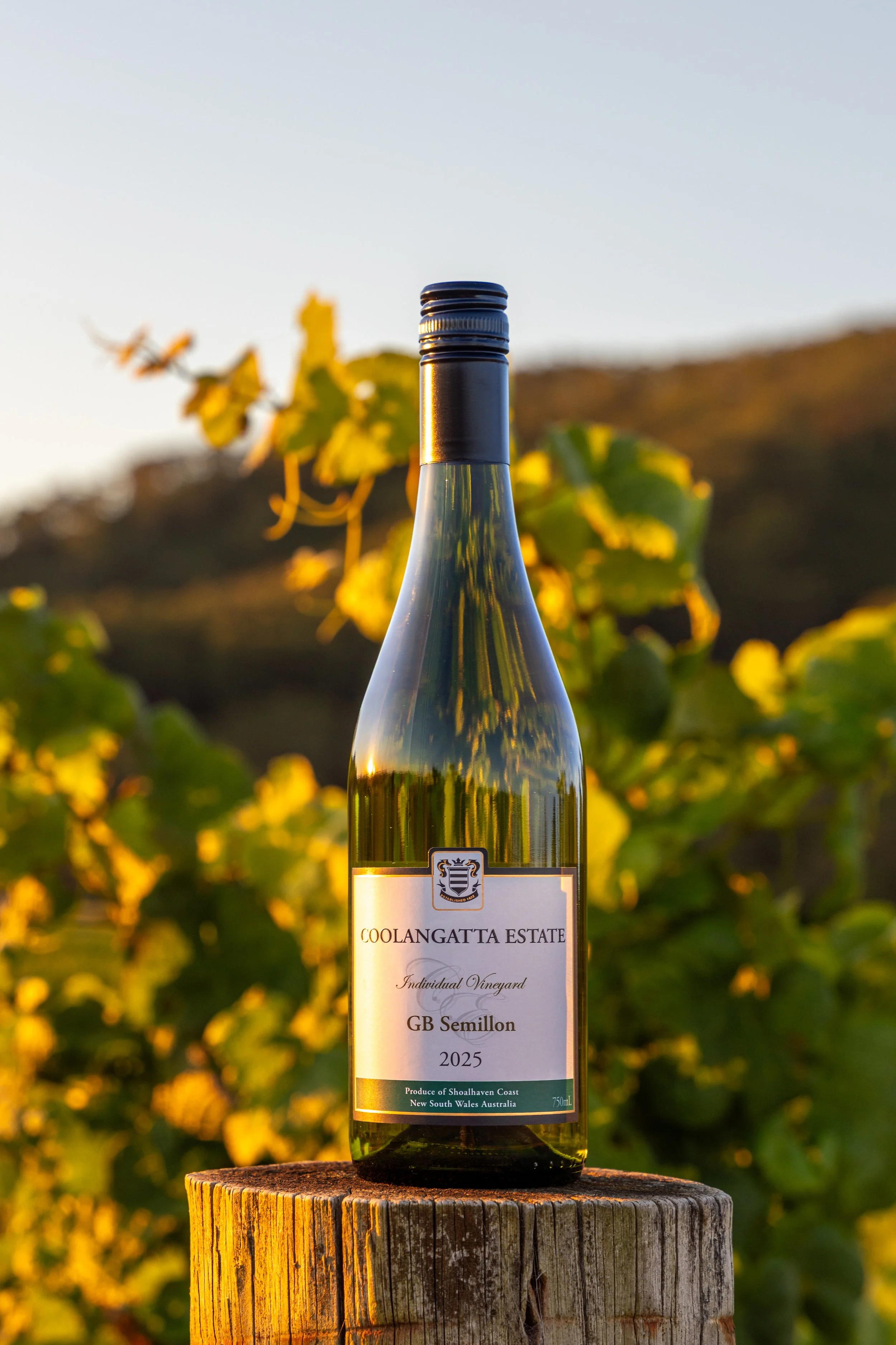 GB Semillon — Coolangatta Estate