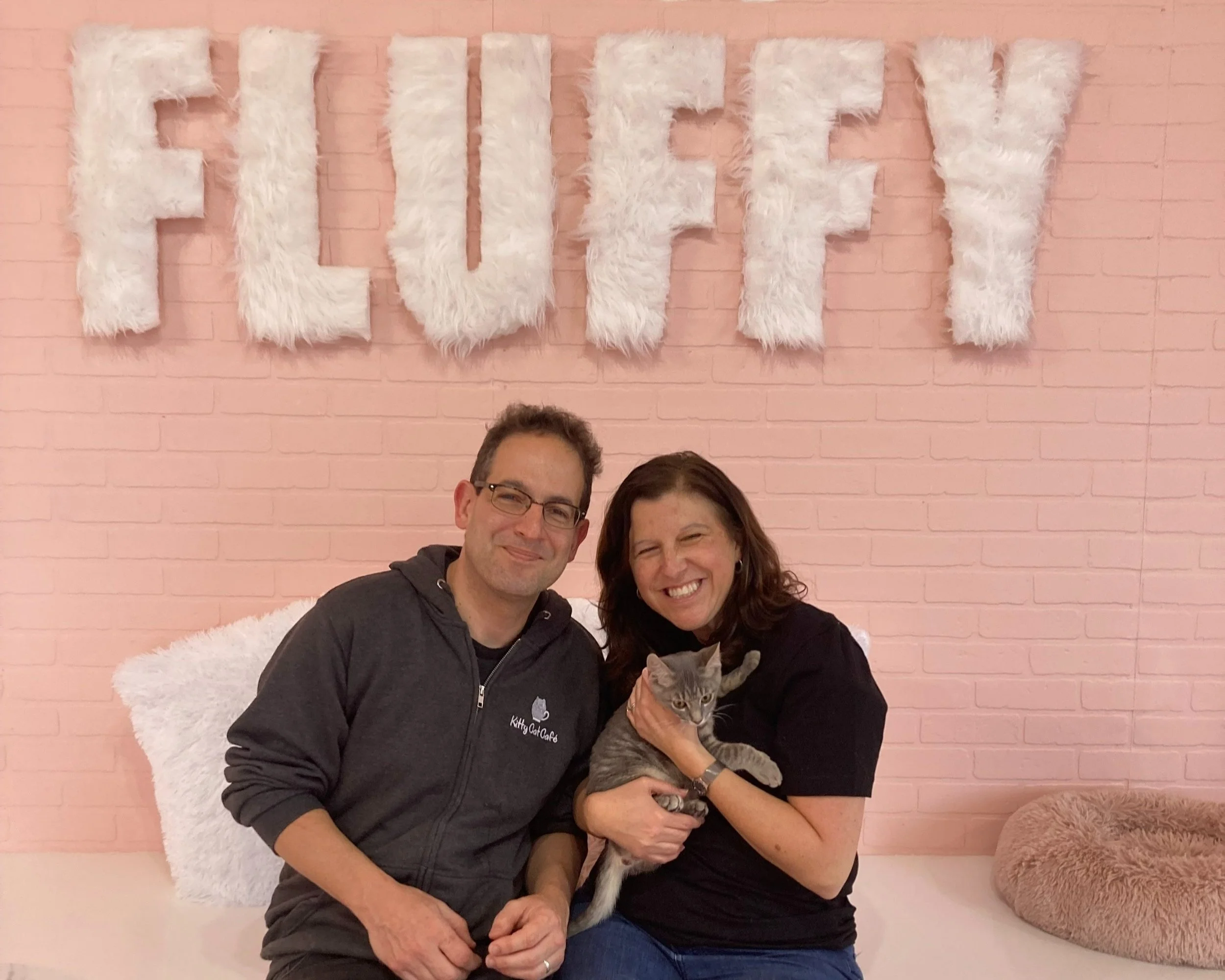 About 1 — Kitty Cat Cafe and Adoption Lounge