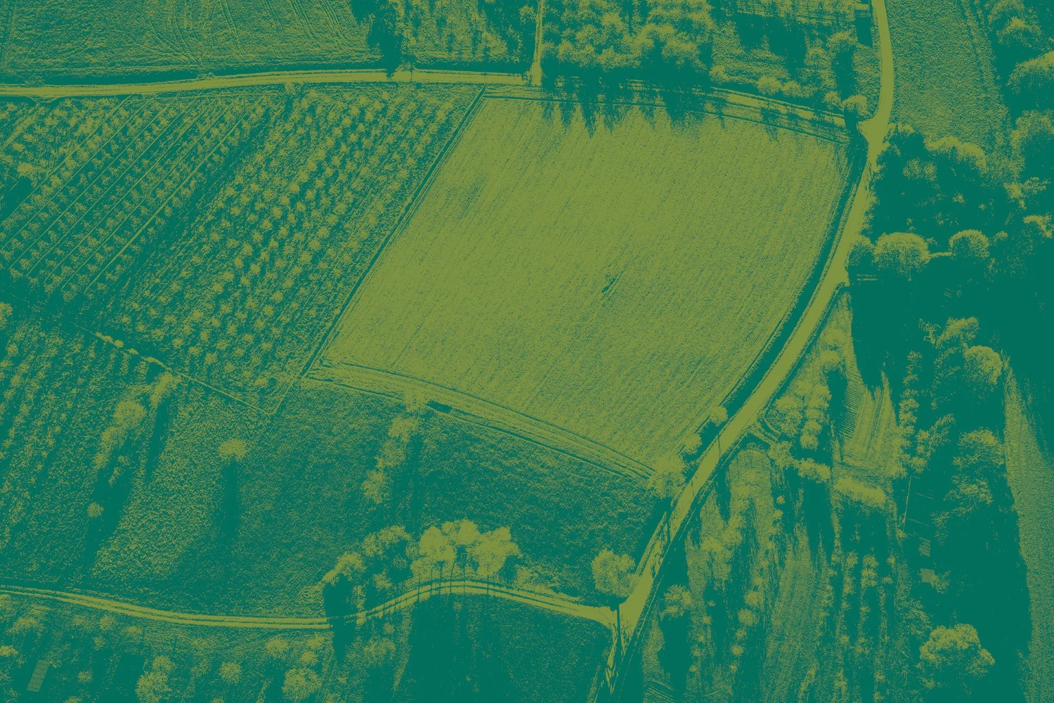 Matriark Foods | Delicious Upcycled Pasta Sauces