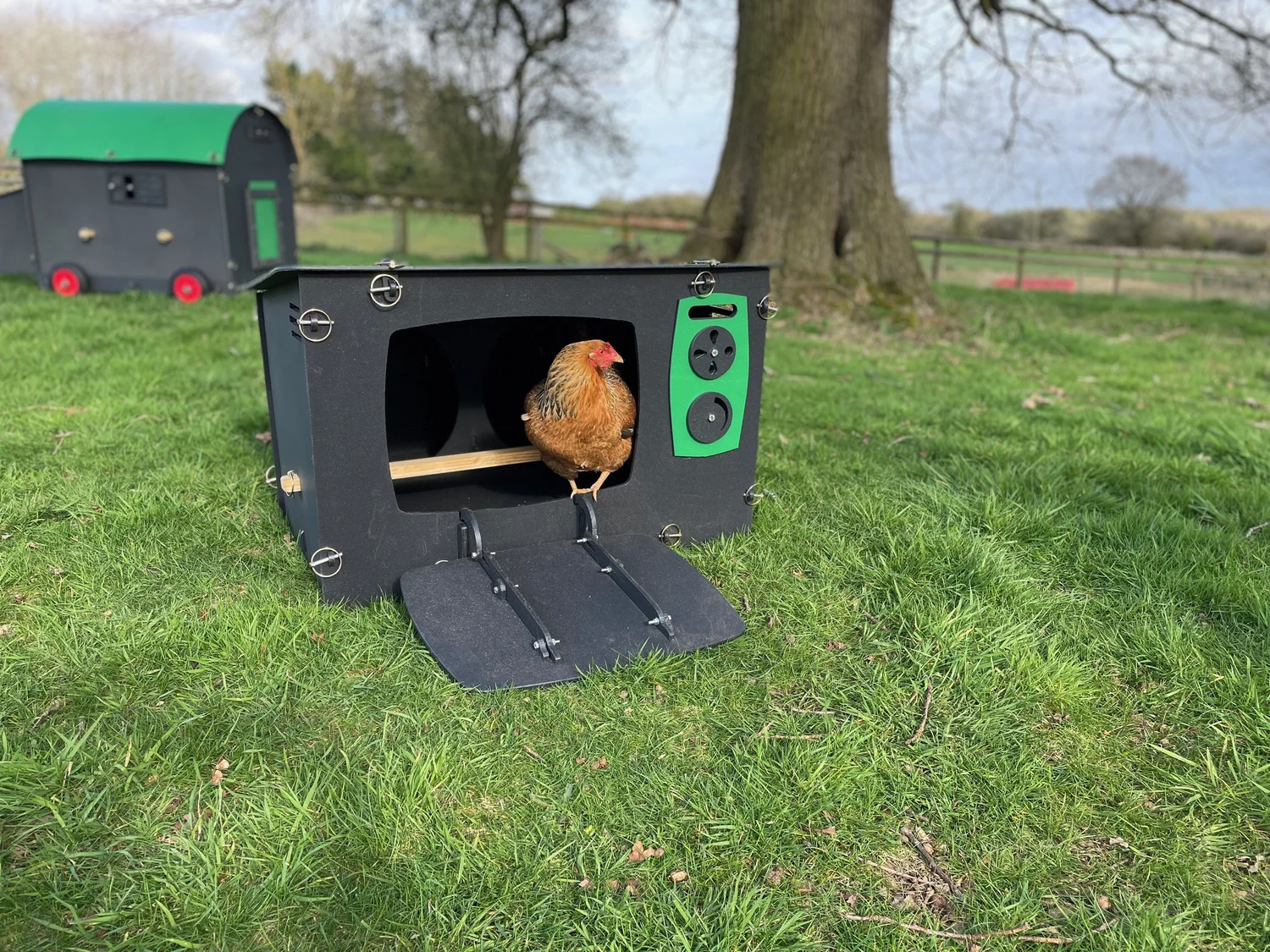 Chicken coops and houses made out of recycled plastic — Sheep Shed ...