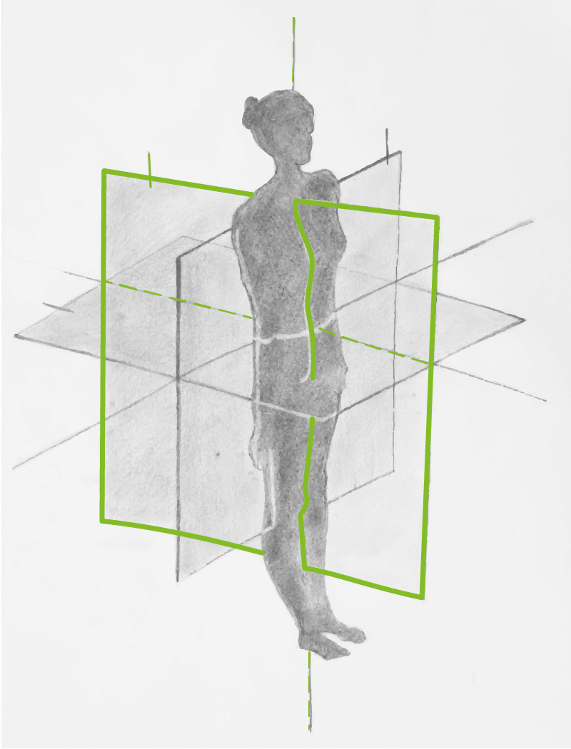 Three Dimensions of Movement and Learning — Highpoint Mind & Movement ...