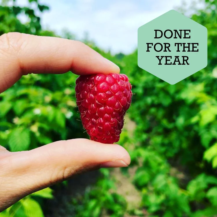 Columbia Farms U-Pick