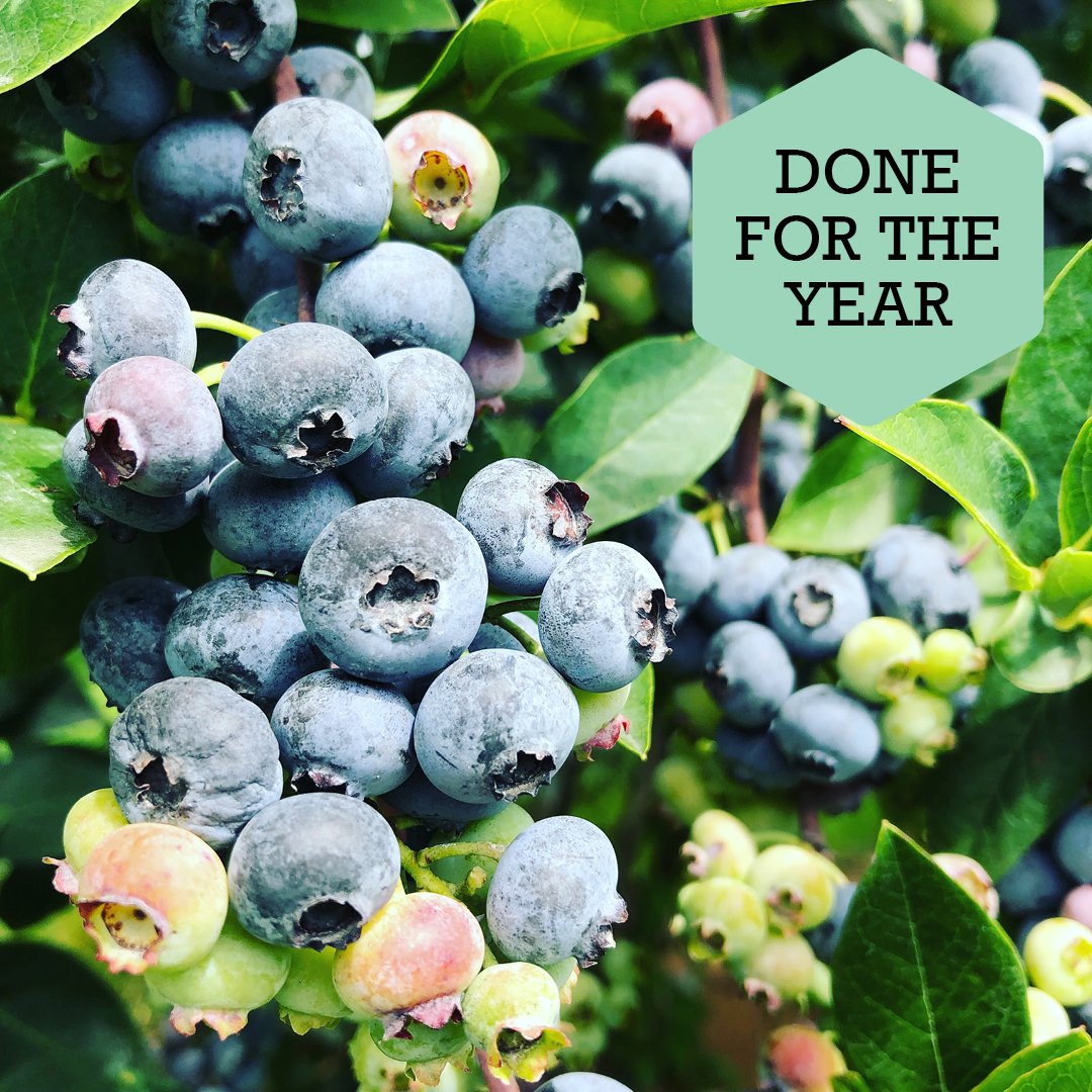 Columbia Farms U-Pick