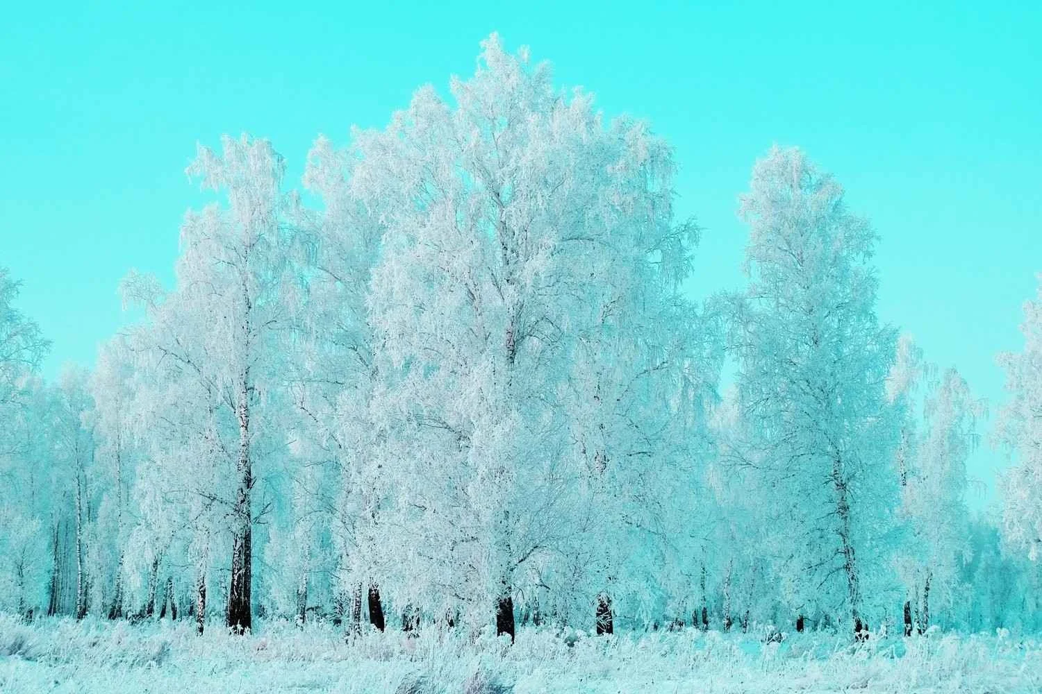 Get to Know the Sakha language