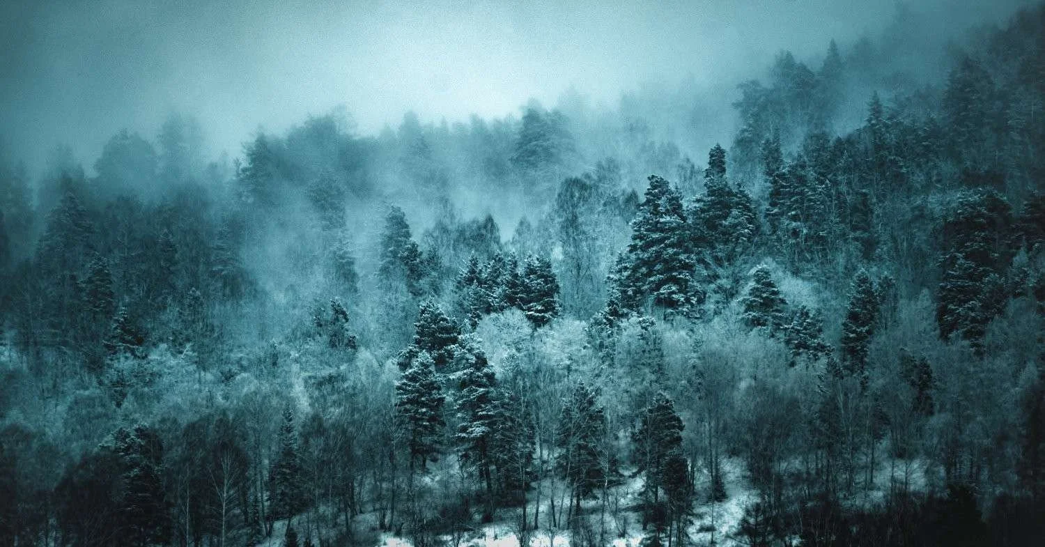 Get to Know the Sakha language