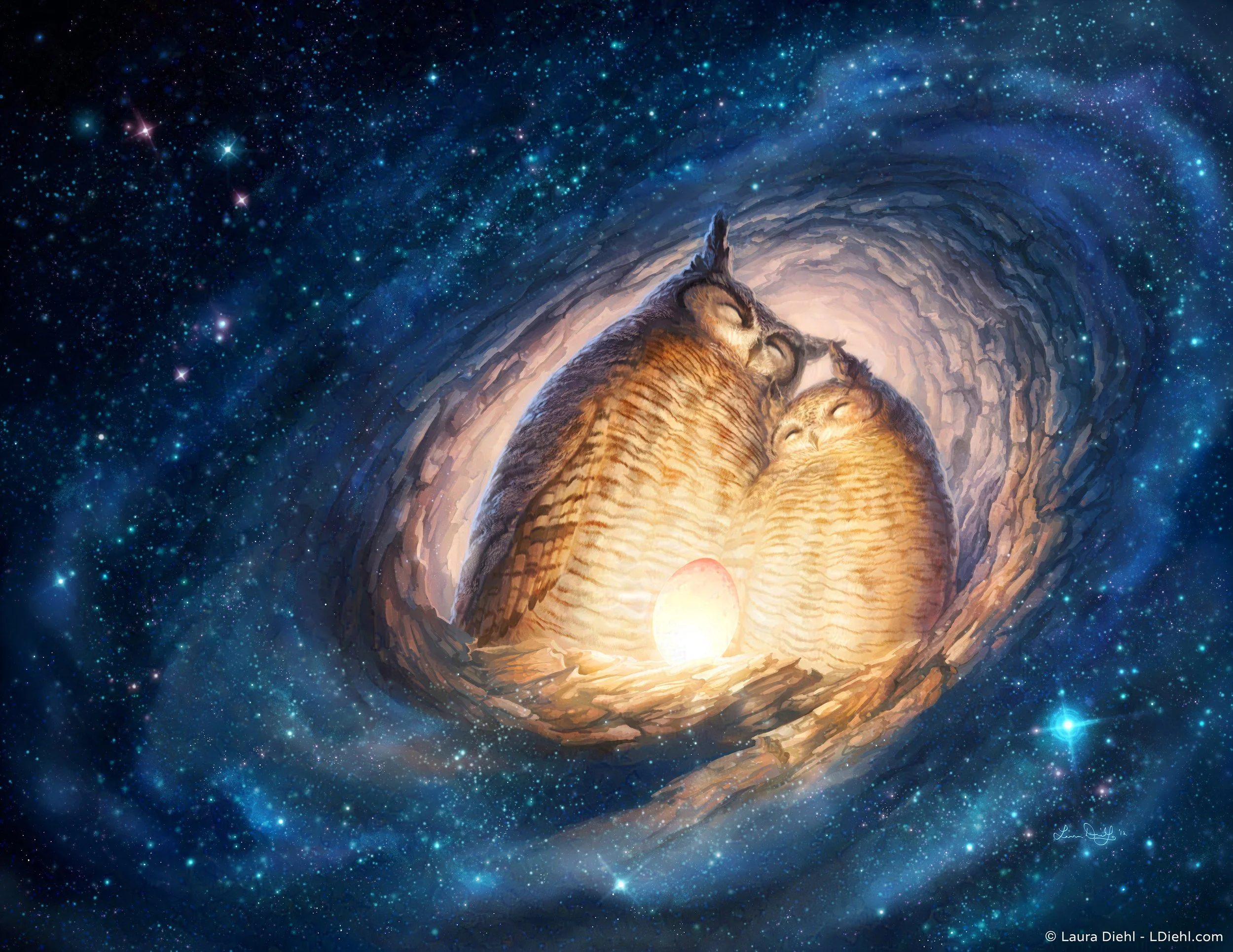 Galaxy Nest — Laura Diehl Art