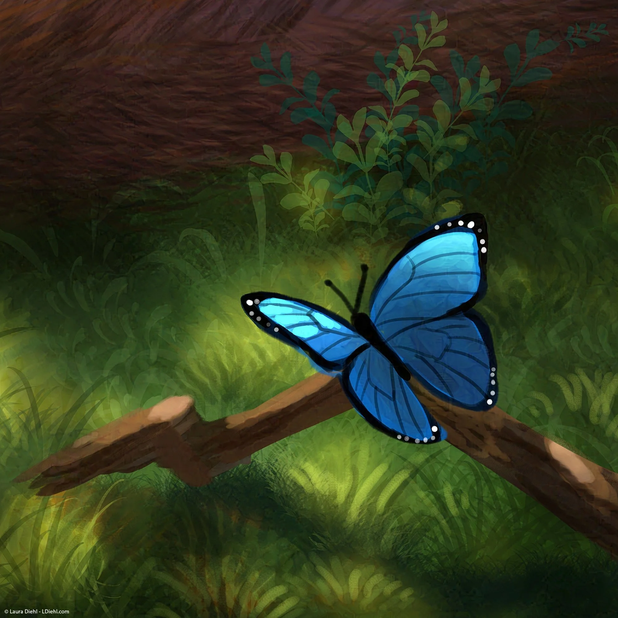 Butterfly Dreams — Laura Diehl Art