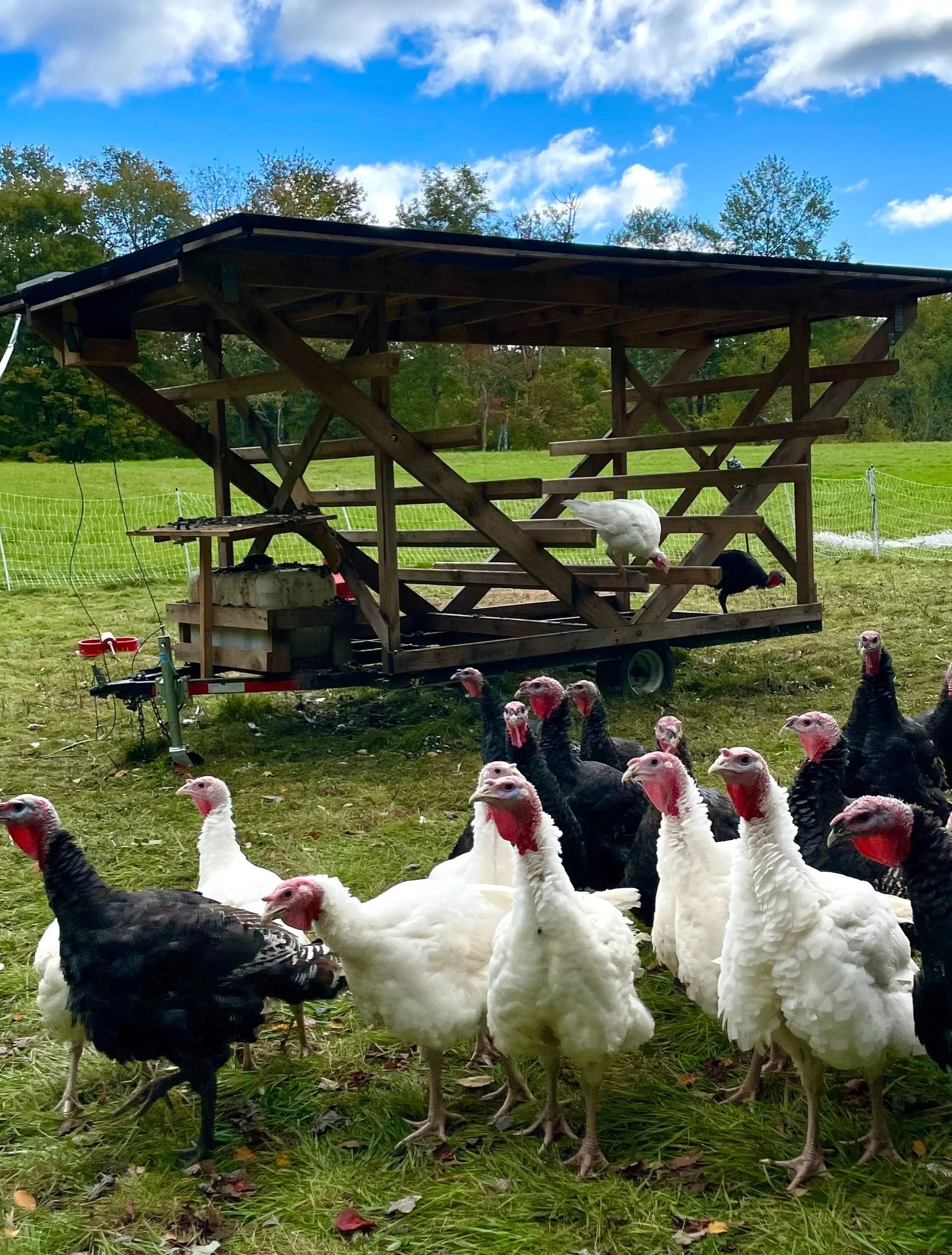 Our Produce — Two Creek Farm