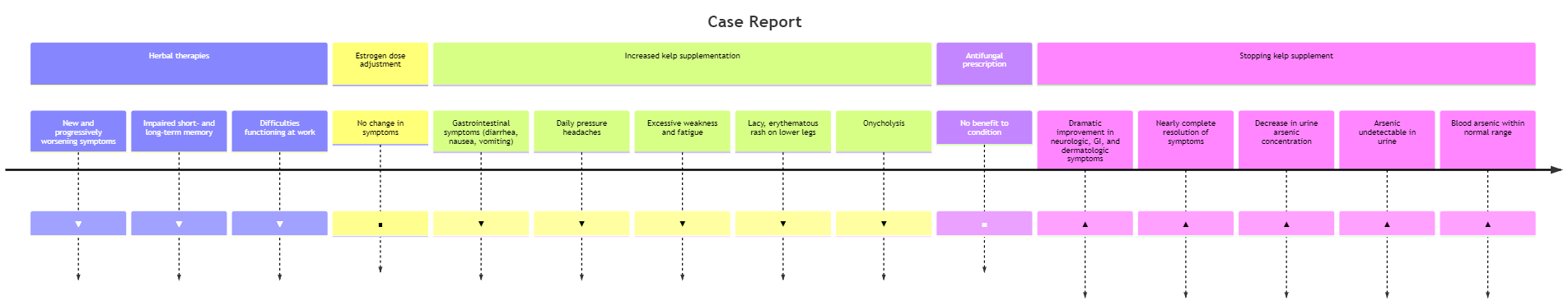 Case Report Diagram (Timeline) — Shuttle Bros.