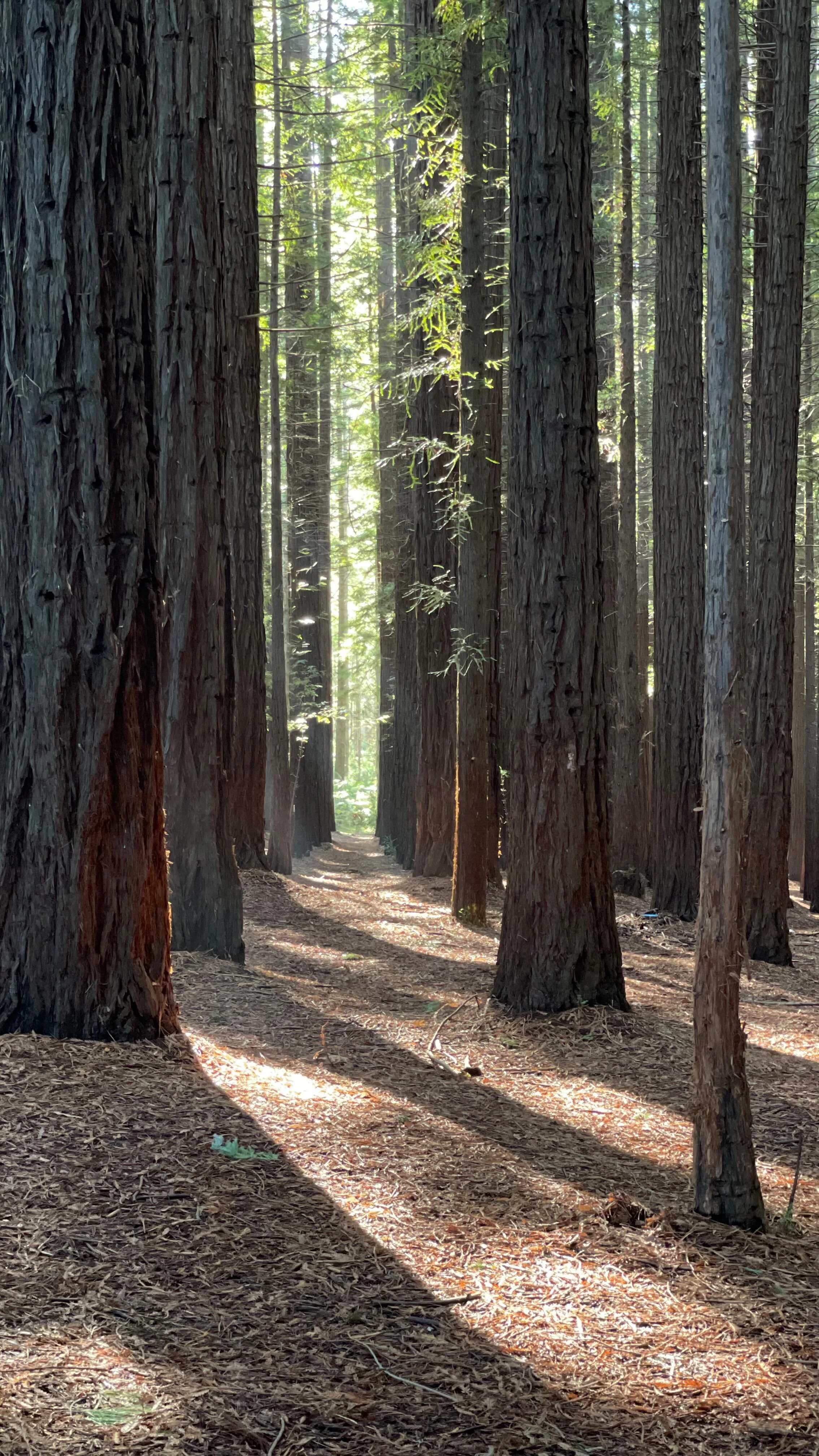 Kindred Women's Space