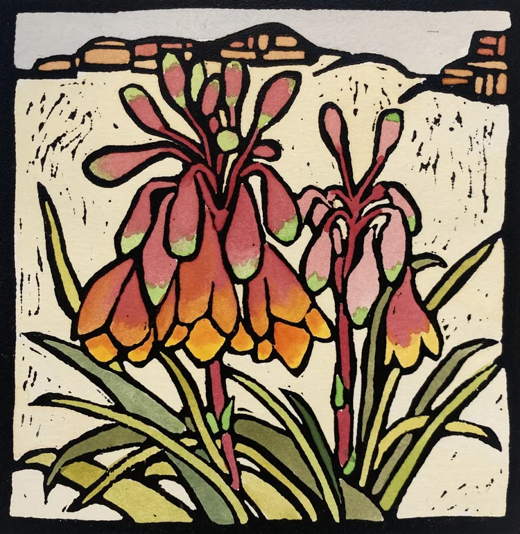 Fiona Bunton Art - Fiona Bunton Art