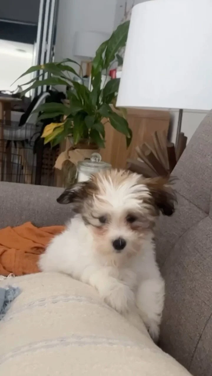 Maverick Hair and Art | Best Gold Coast Award Winning Hair Salon