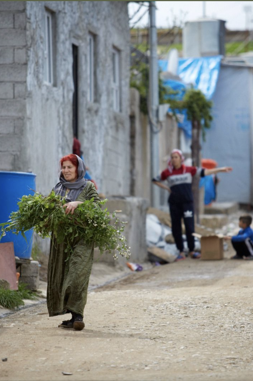 Blissful floral escapism through the seasons — Grace Alexander Flowers