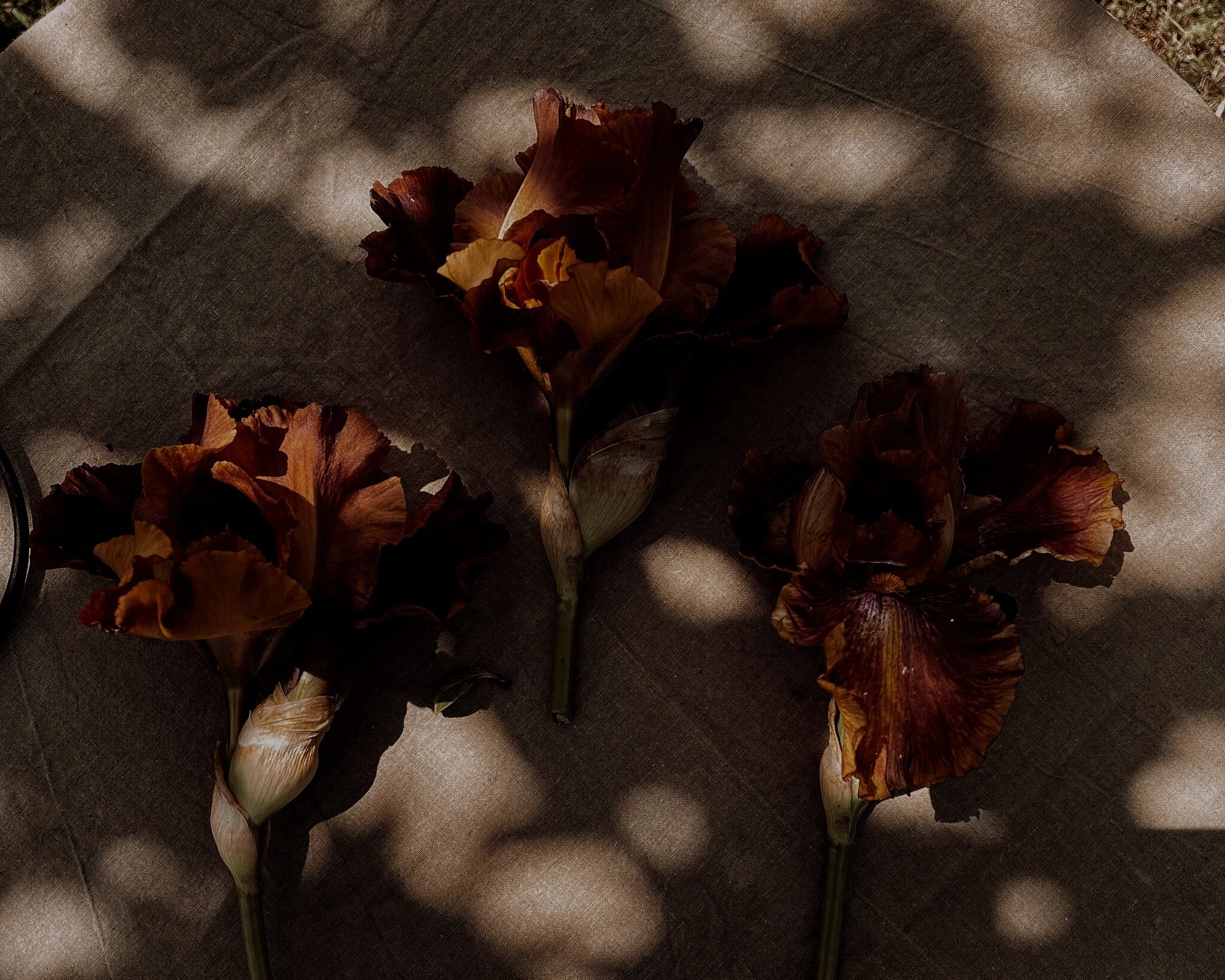 Grace Alexander Flowers