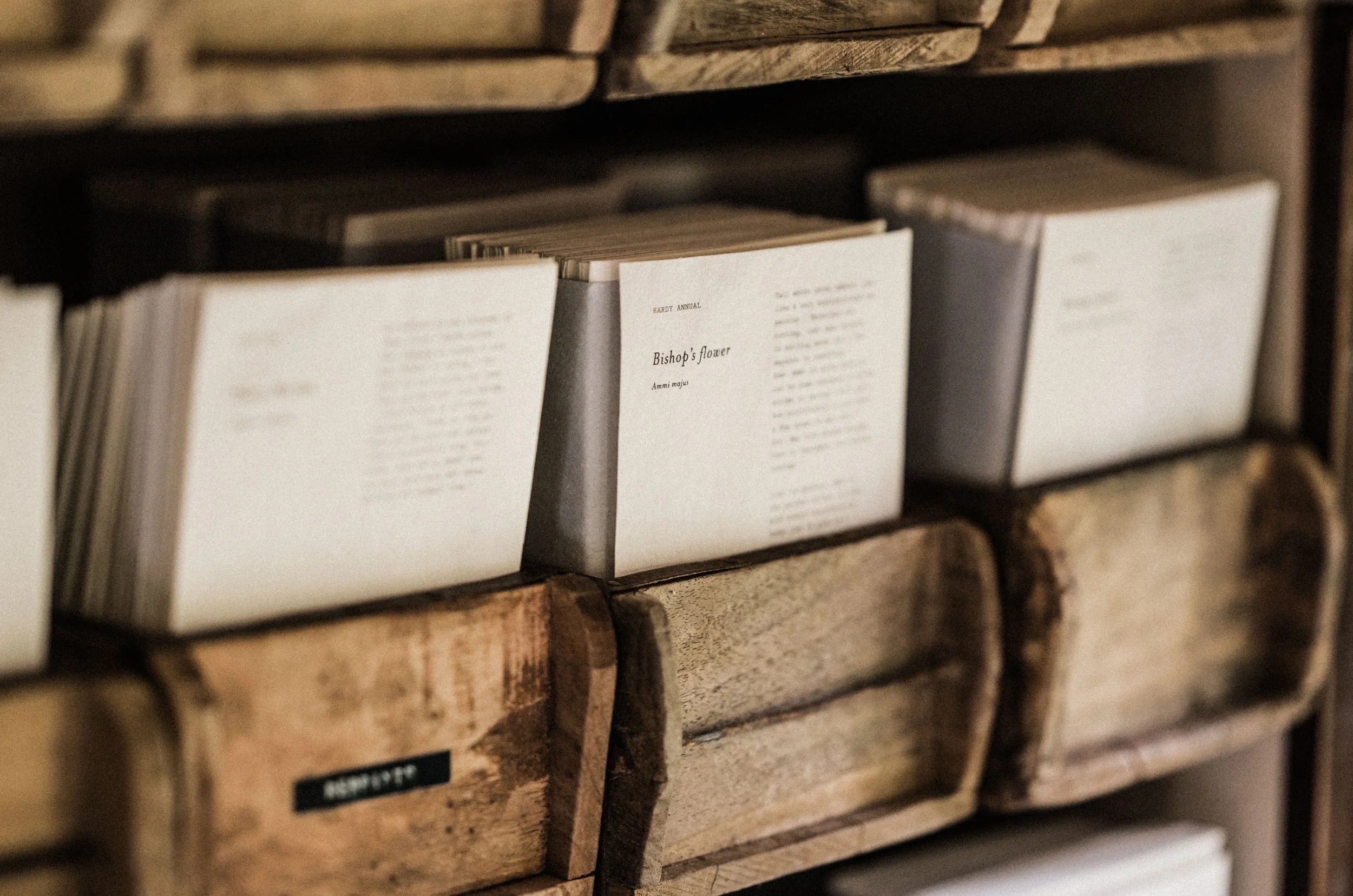 Grace Alexander Flowers