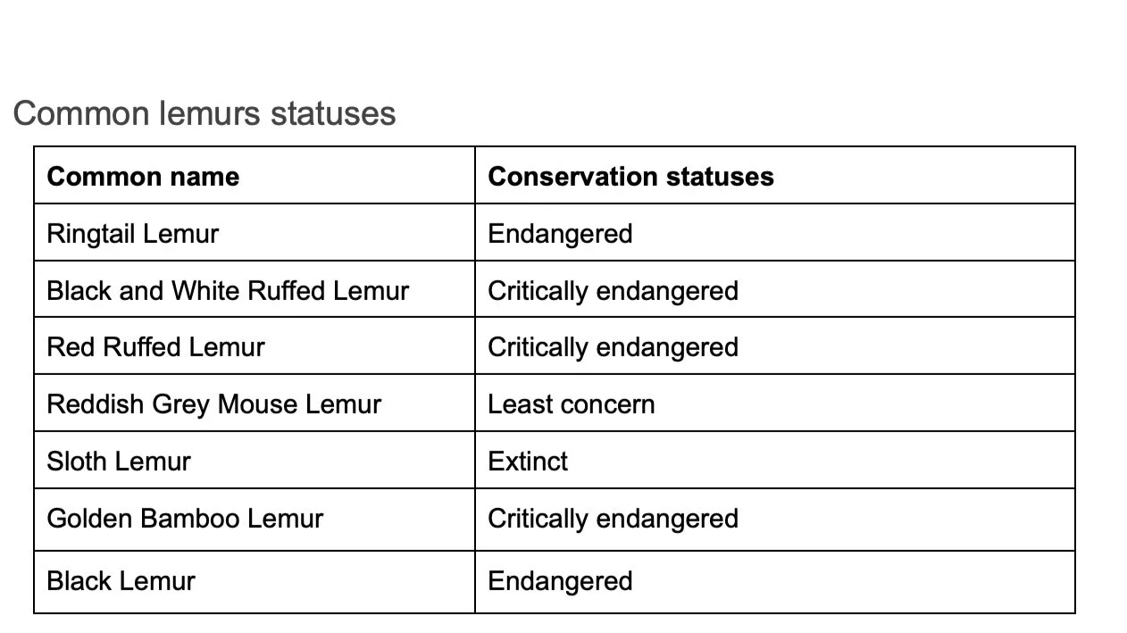 The Real Reasons Why Lemurs Are Endangered — Adventures of a Young ...