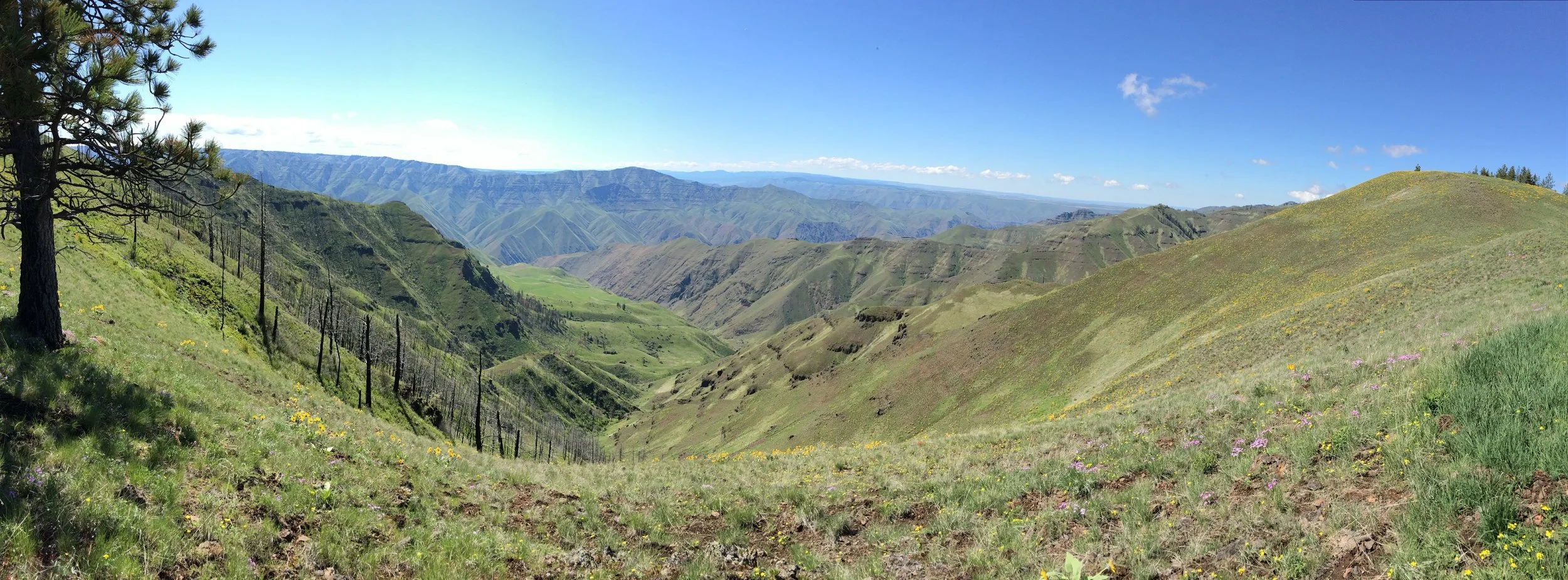 Big Ridge | Services | Solutions