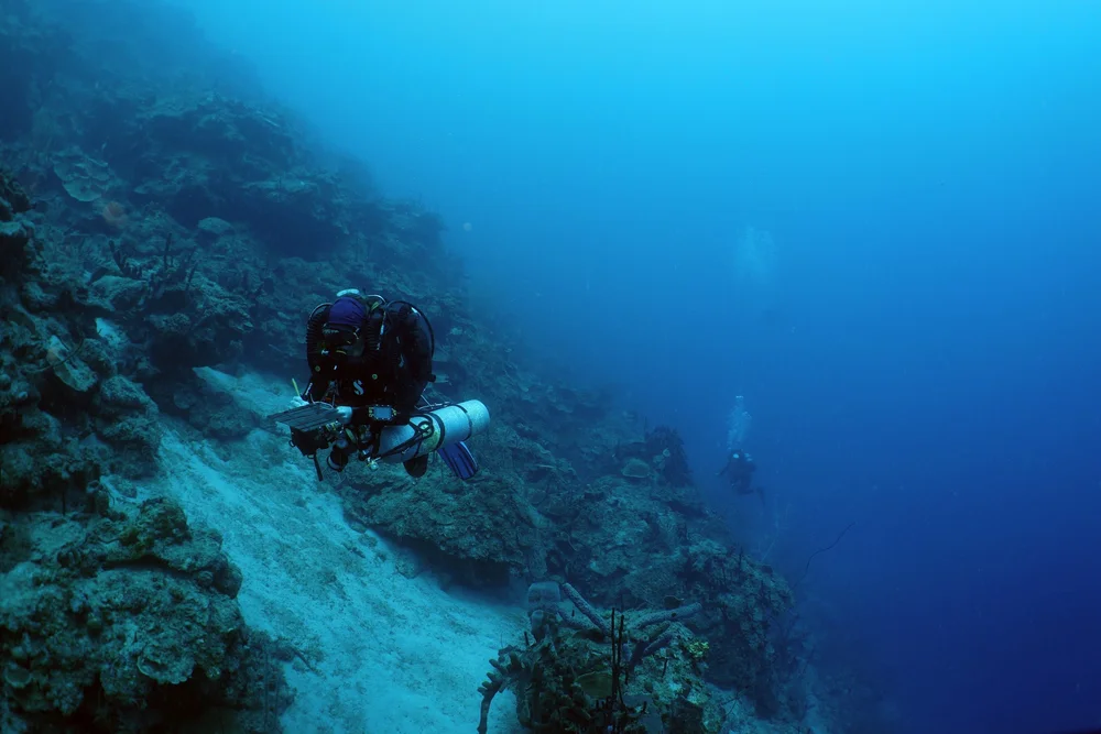 Coral Futures — Coral Reef Resilience Laboratory