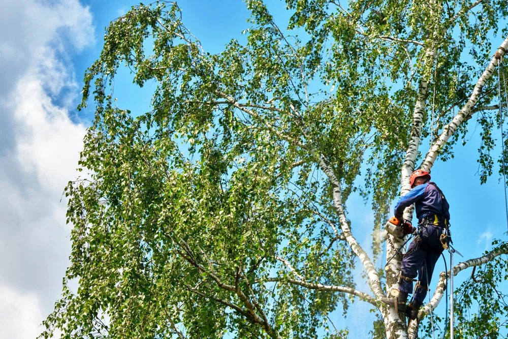 Nebraska Arborists Association