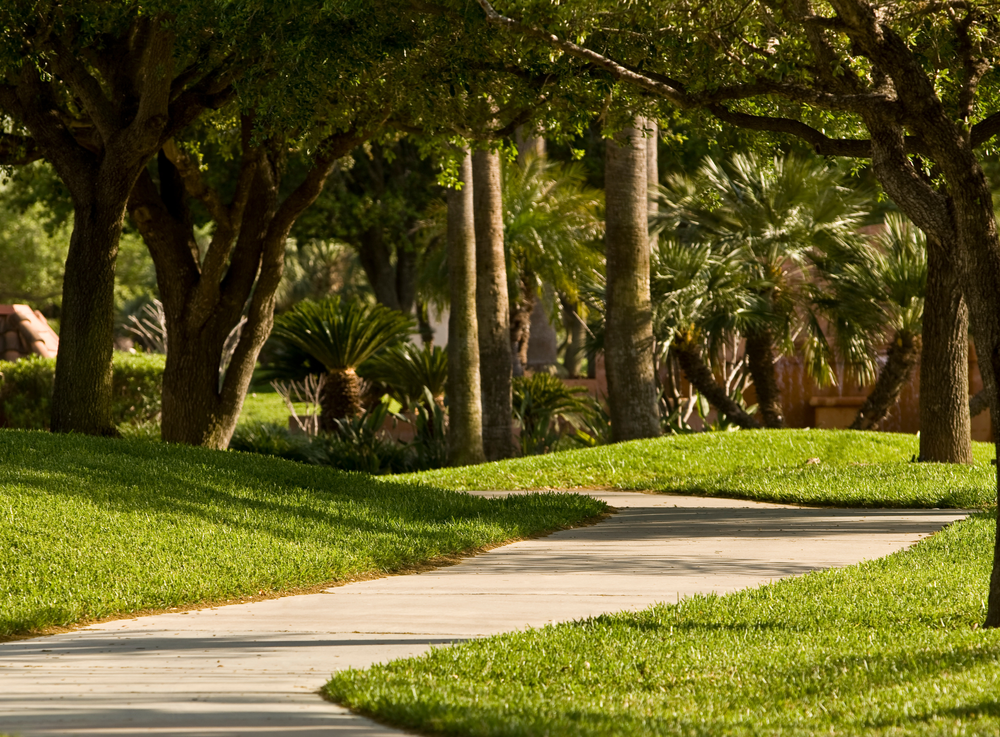 Services — Roadway Asset Services