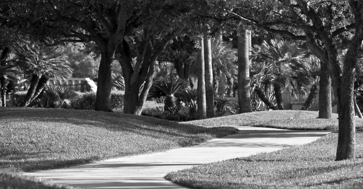 Sidewalk Assessments Services — Roadway Asset Services