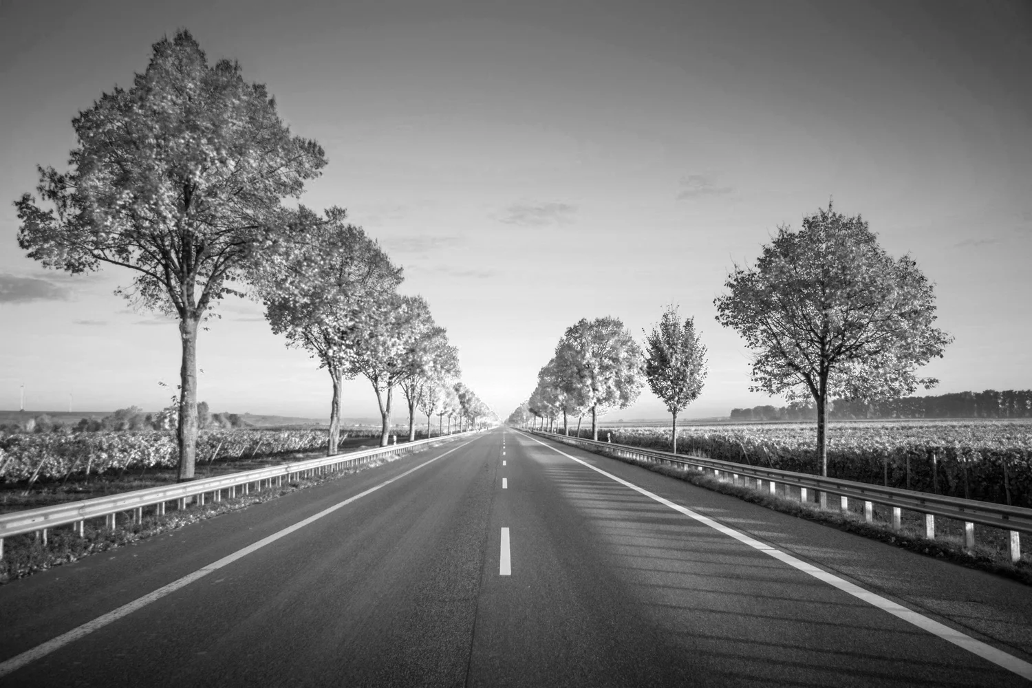 Roadway Asset Services: Pavement Condition Survey Experts