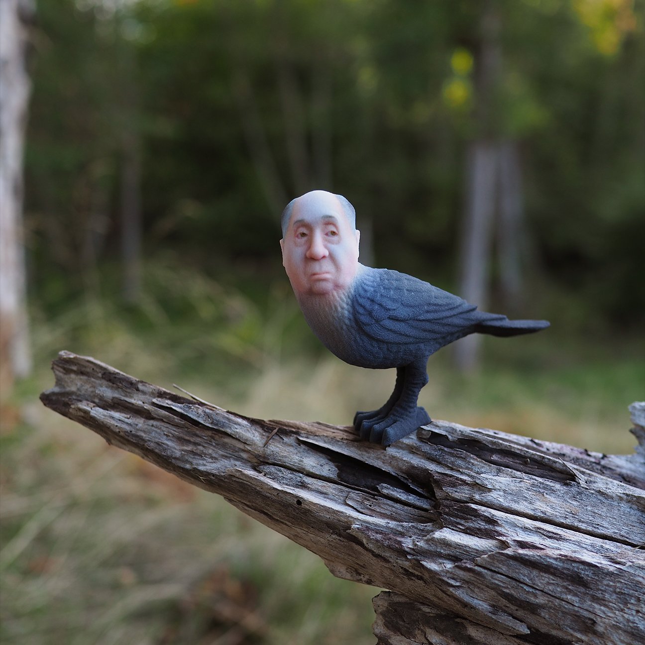 Shop Editions & Original Works — MIKE LEAVITT