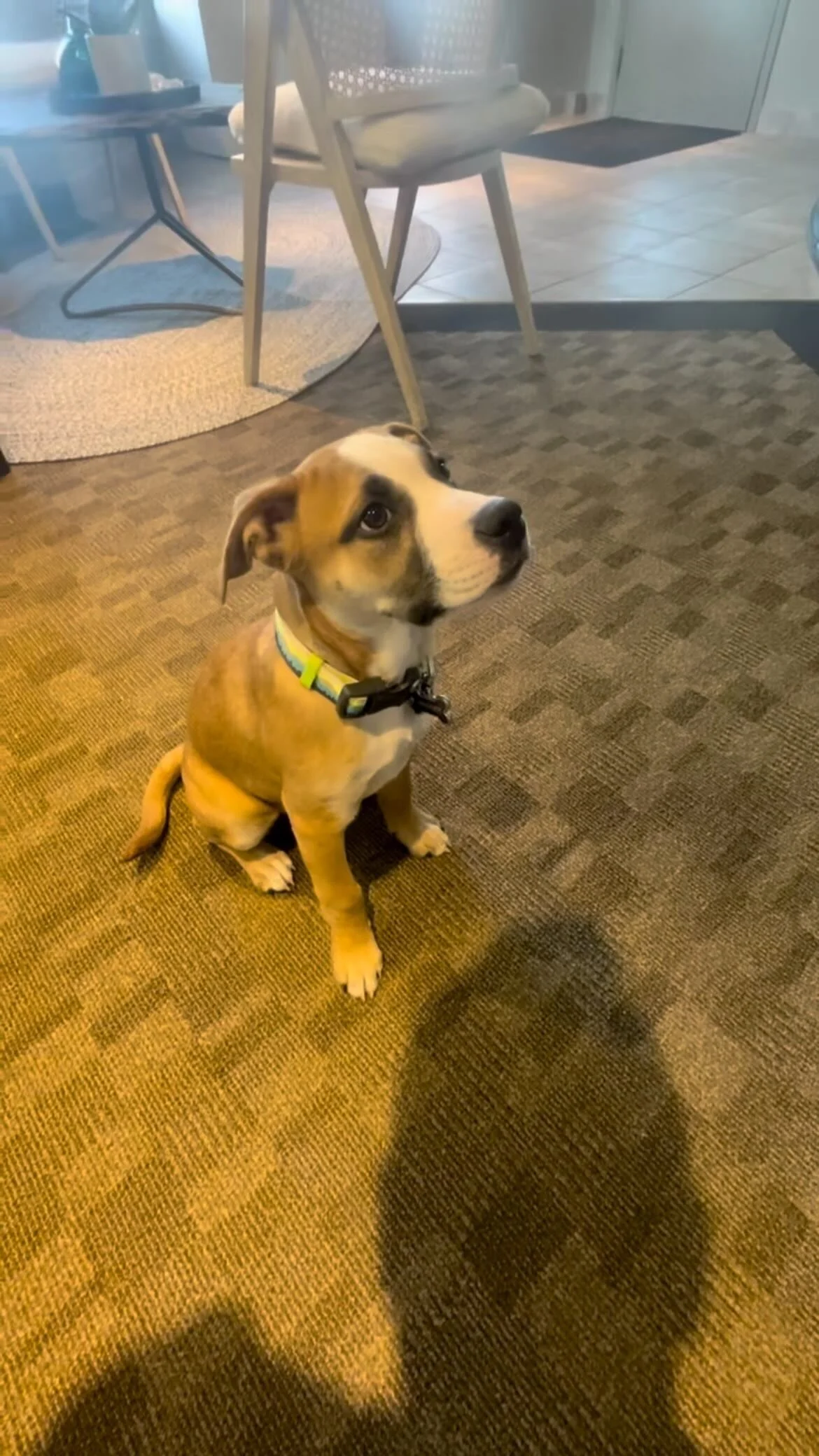 How a Strong Brand Identity Can Drive Business Success — Media Shop ...